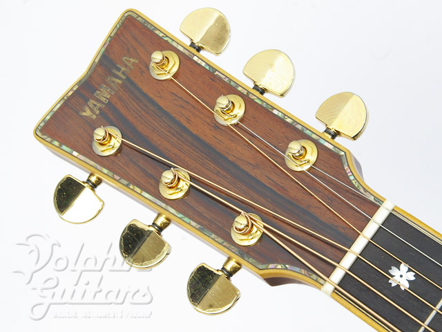 YAMAHA LL66 Custom - ドルフィンギターズ