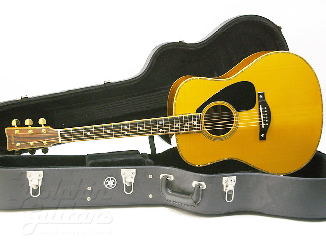 YAMAHA LL66 Custom - ドルフィンギターズ