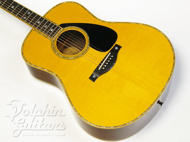 YAMAHA LL66 Custom - ドルフィンギターズ