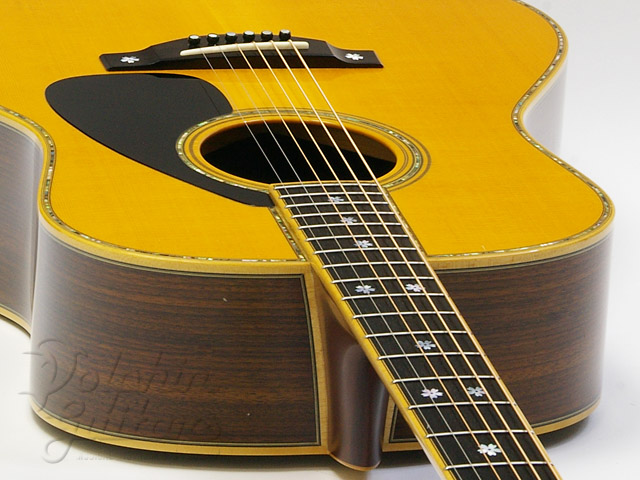 YAMAHA LL66 Custom - ドルフィンギターズ