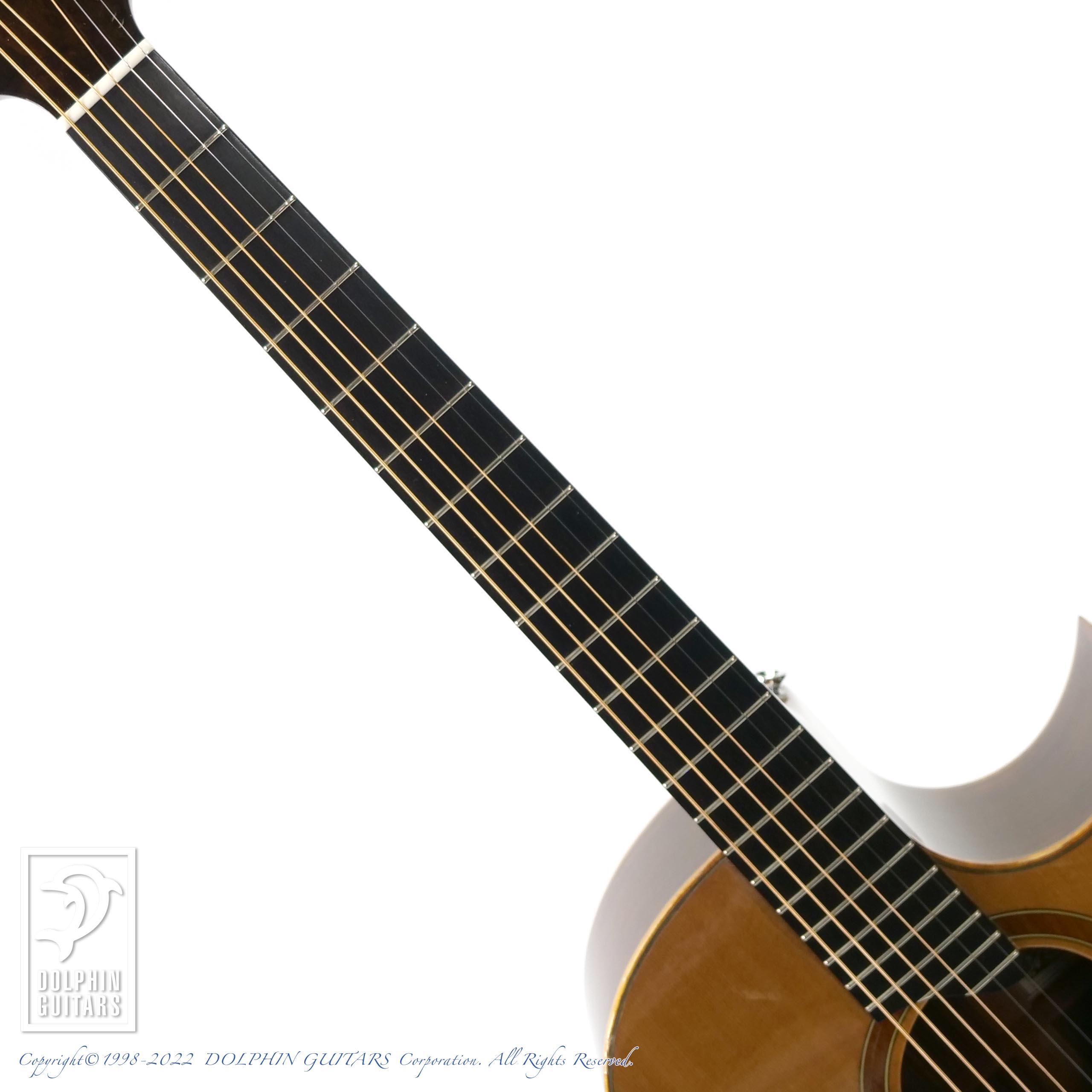 FLY ROBIN Grace - ドルフィンギターズ