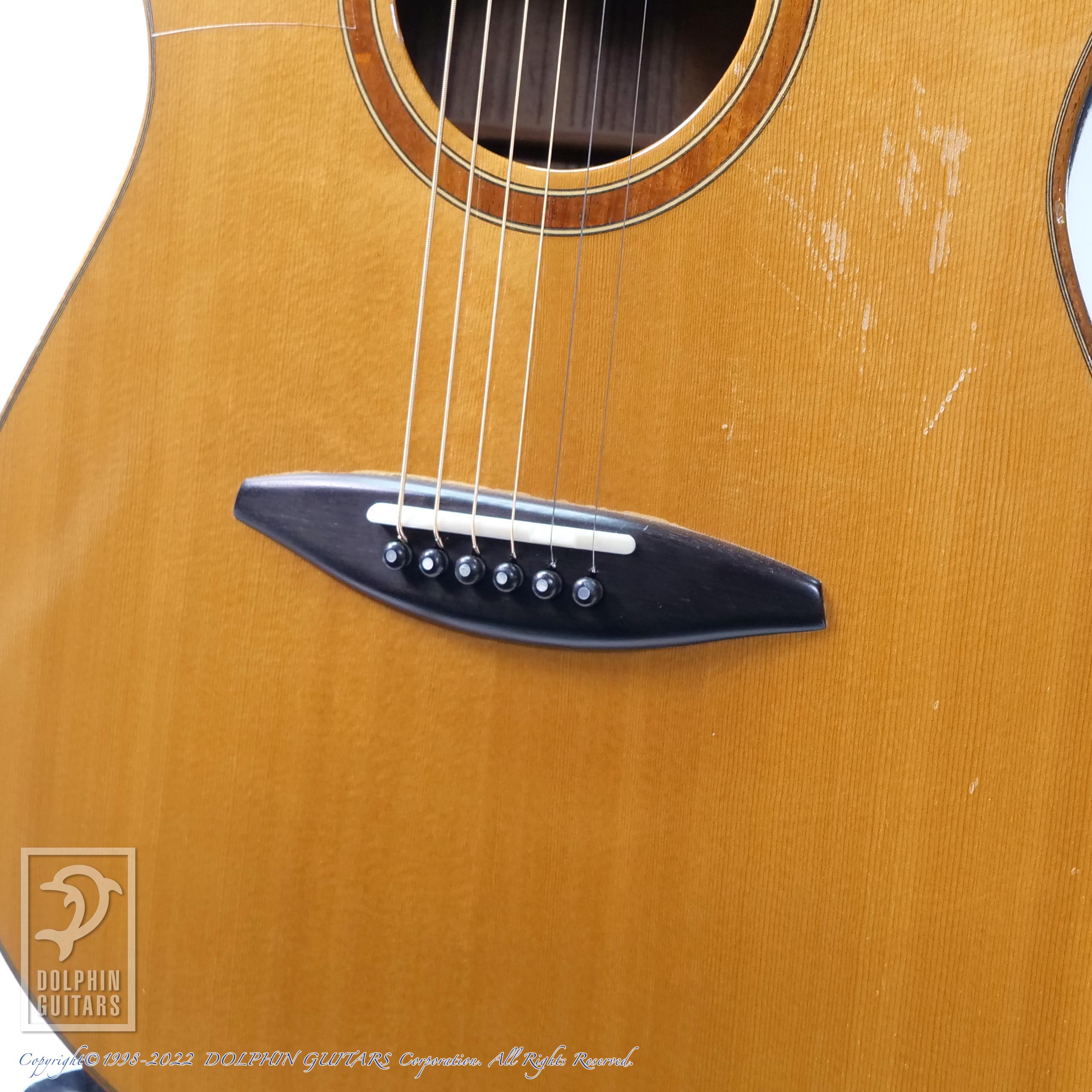 FLY ROBIN Grace - ドルフィンギターズ