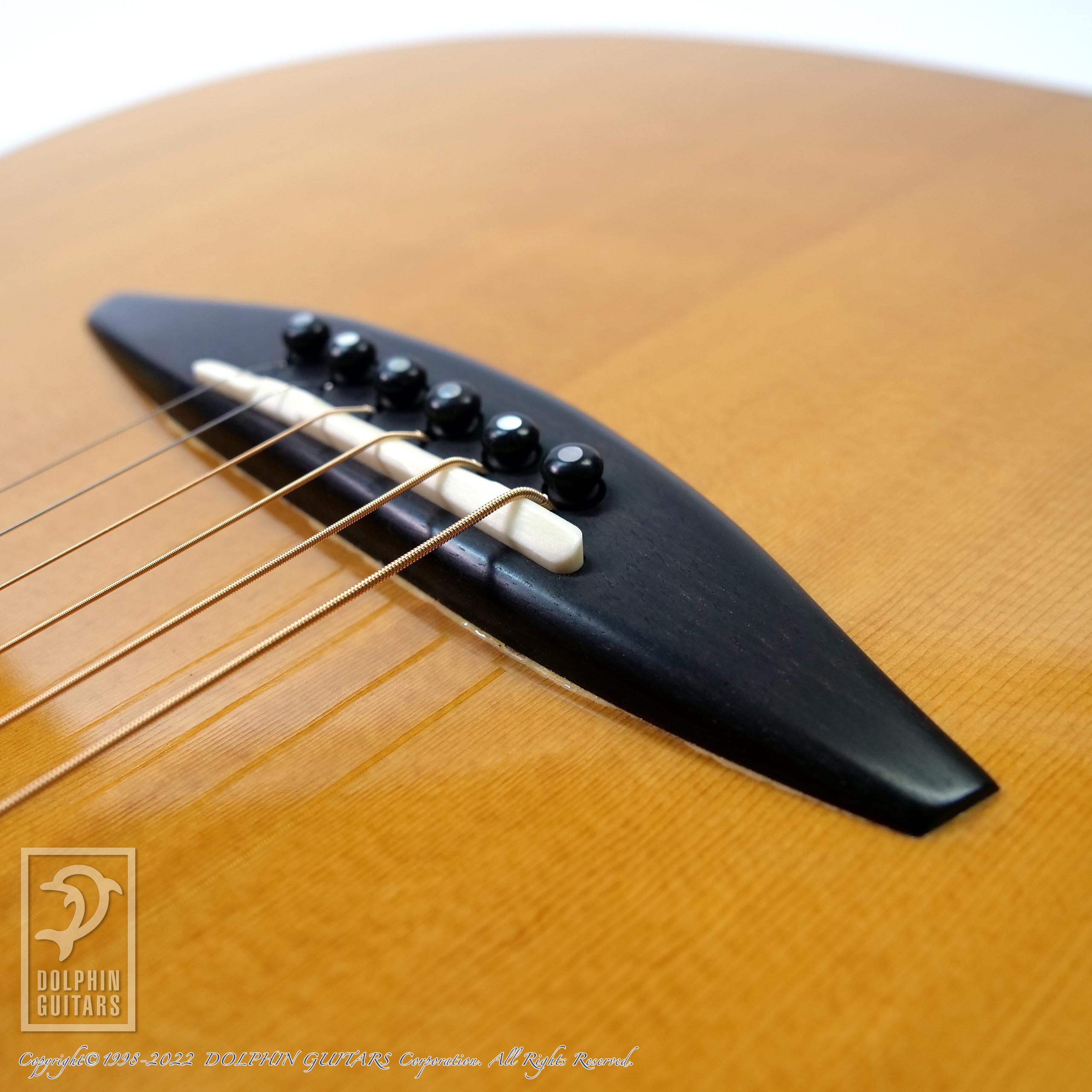 FLY ROBIN Grace - ドルフィンギターズ