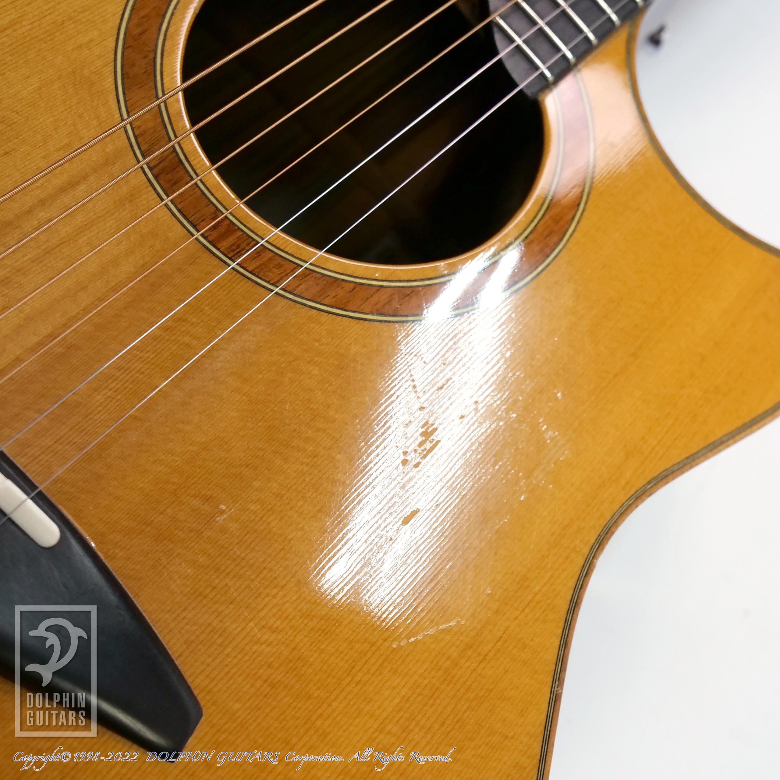 FLY ROBIN Grace - ドルフィンギターズ