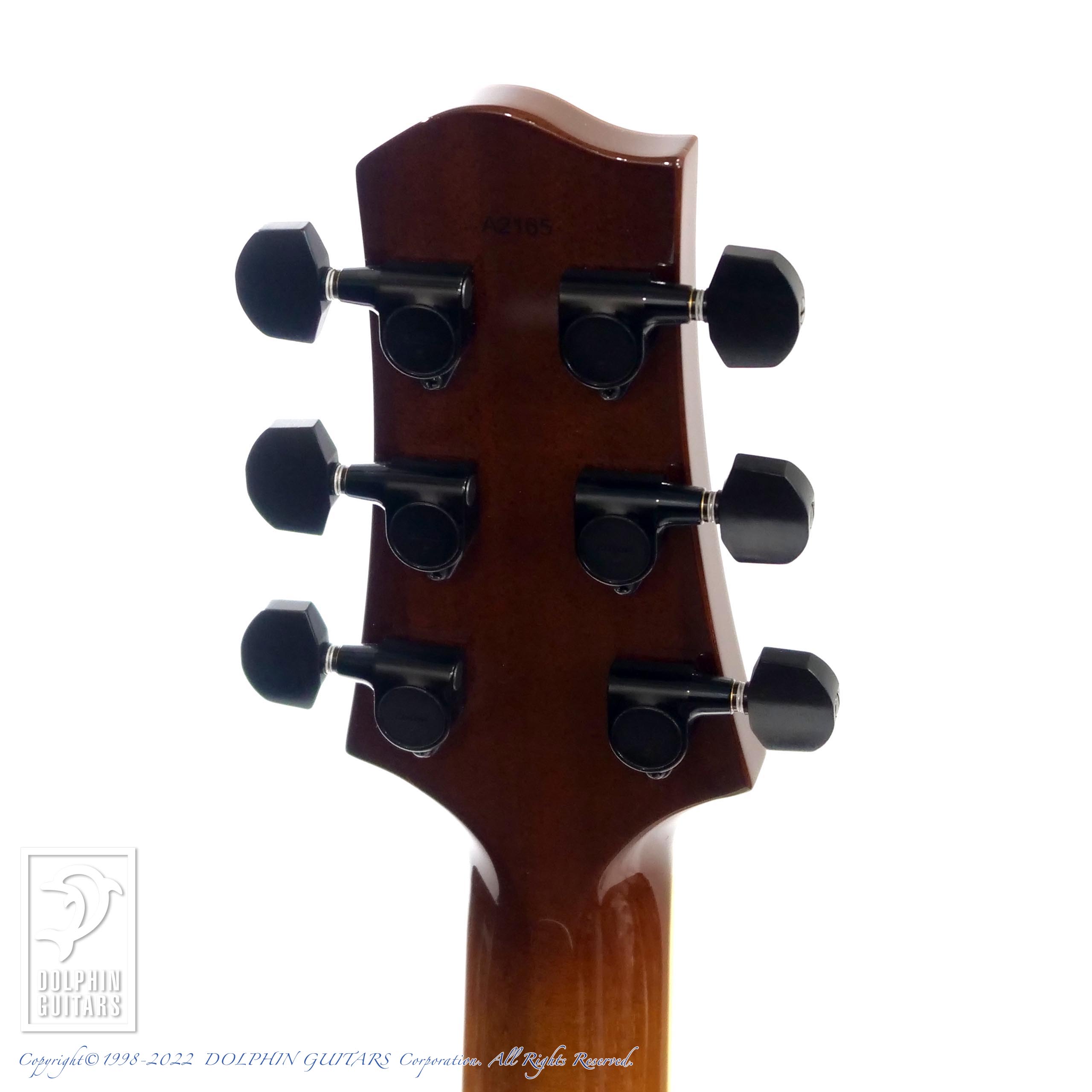 SADOWSKY SS-15 (CMB) - ドルフィンギターズ