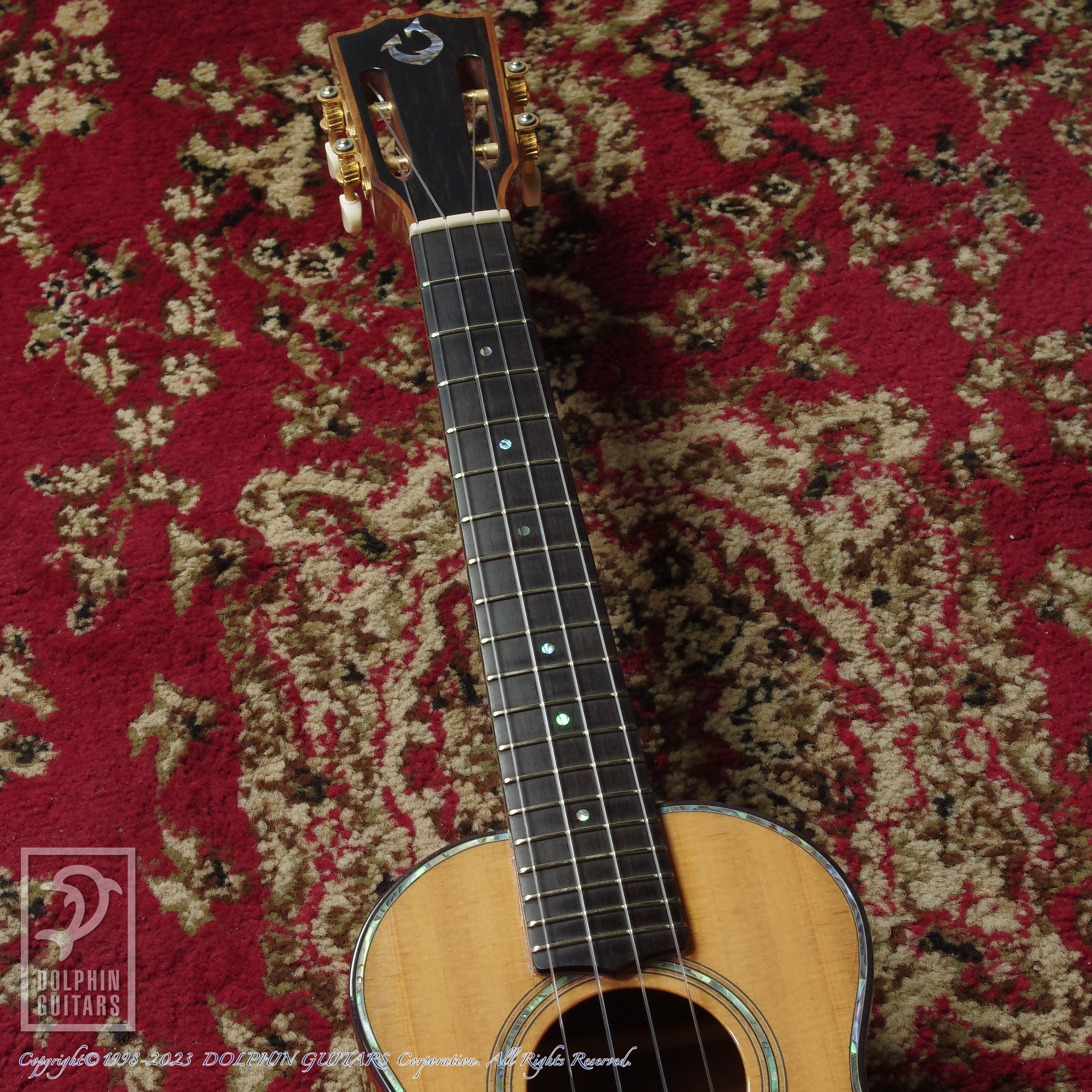 G STRING Custom Shop CST1-SH - ドルフィンギターズ