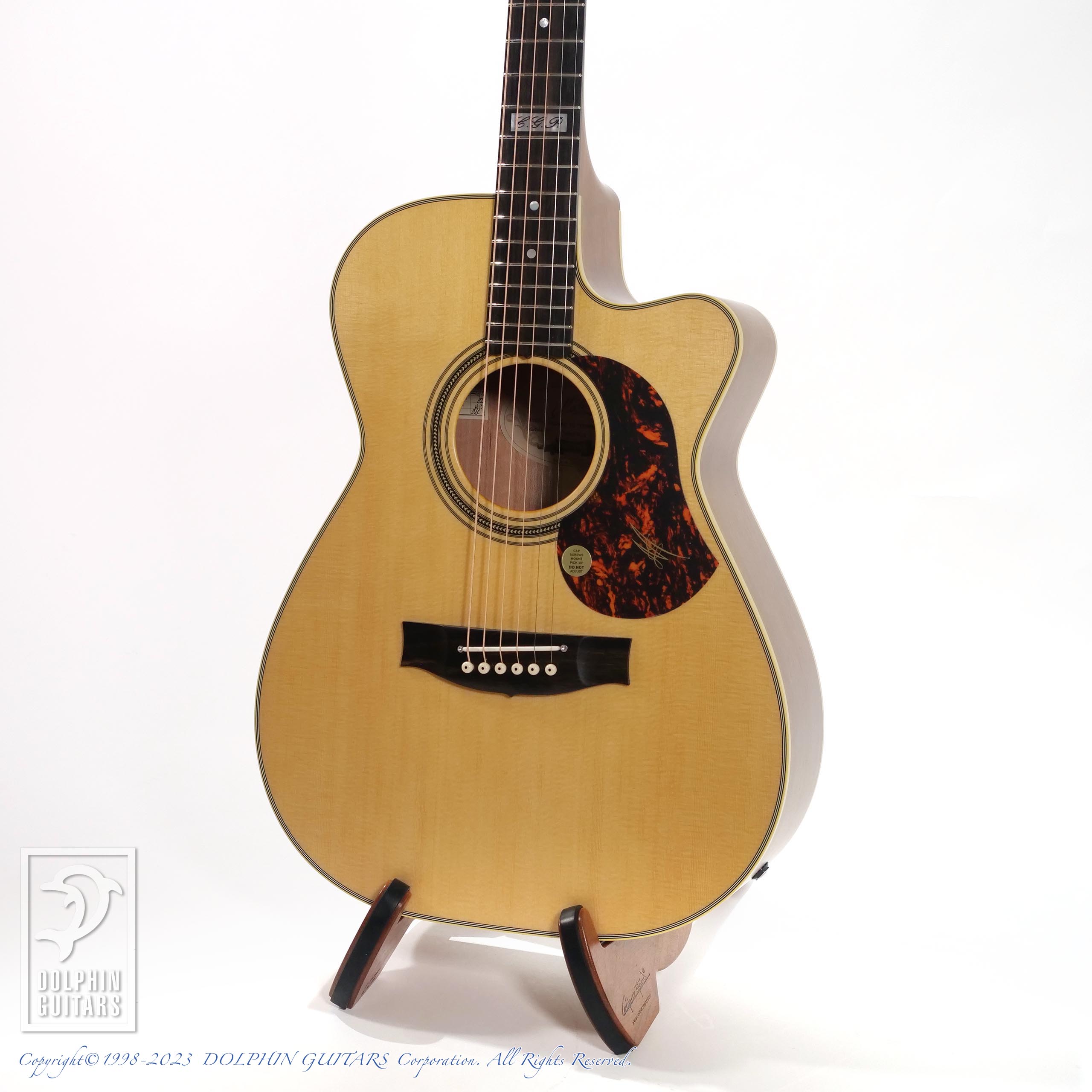 MATON EBG808CTE (Tommy Emmanuel Signature) - ドルフィンギターズ