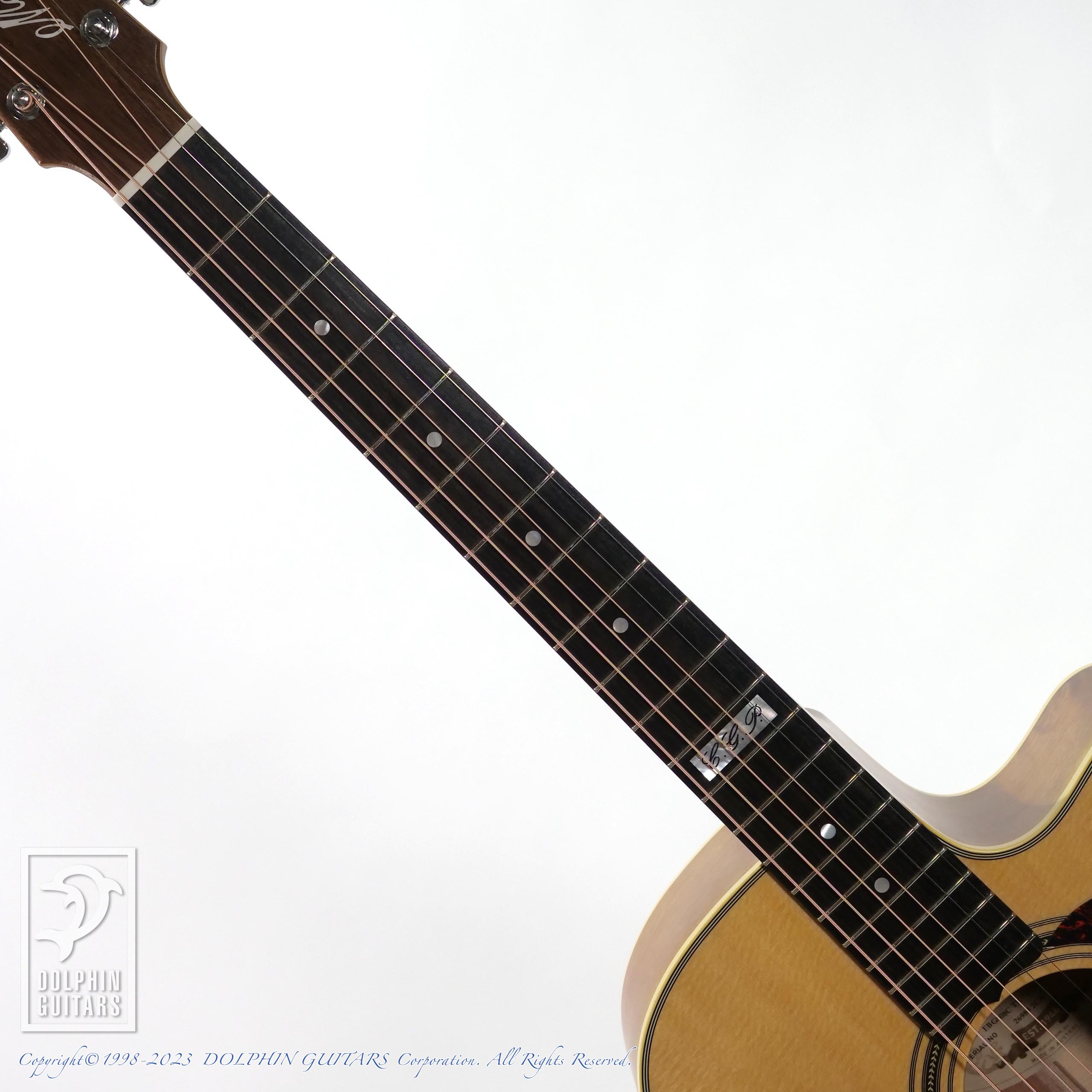 MATON EBG808CTE (Tommy Emmanuel Signature) - ドルフィンギターズ