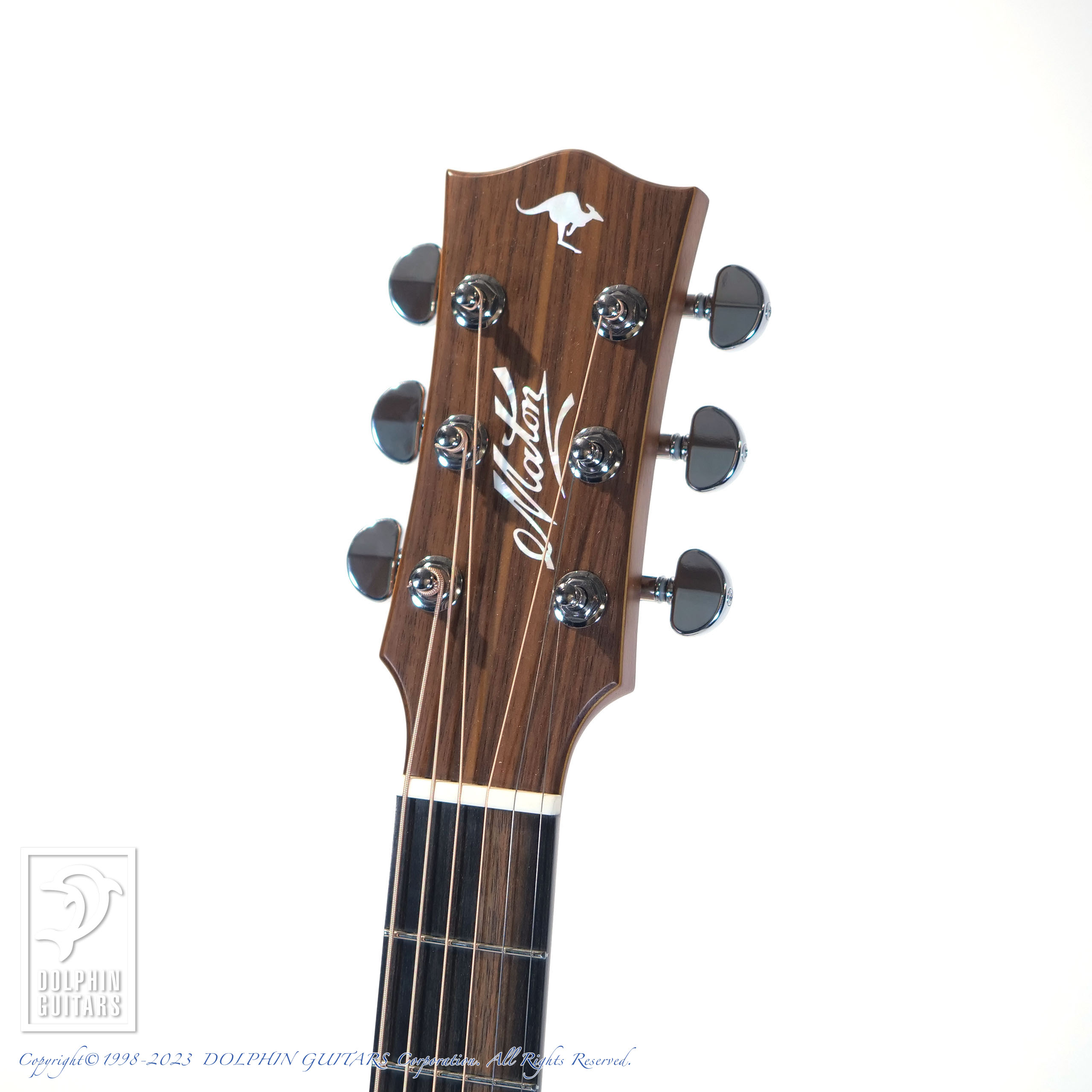 MATON EBG808TE (Tommy Emmanuel Signature) - ドルフィンギターズ