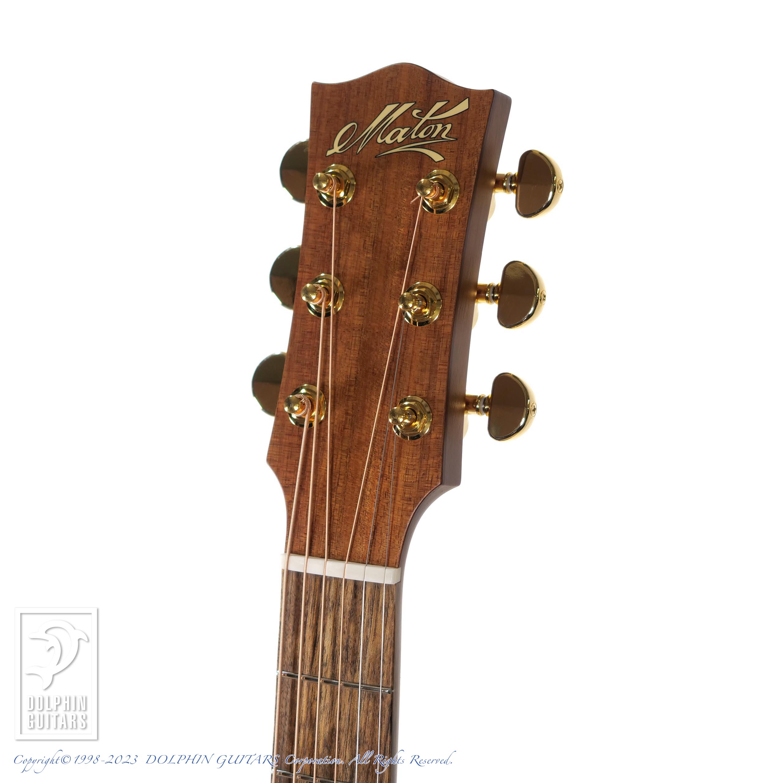 MATON Performer 2023 Limited Model (Orange Mouse) - ドルフィンギターズ