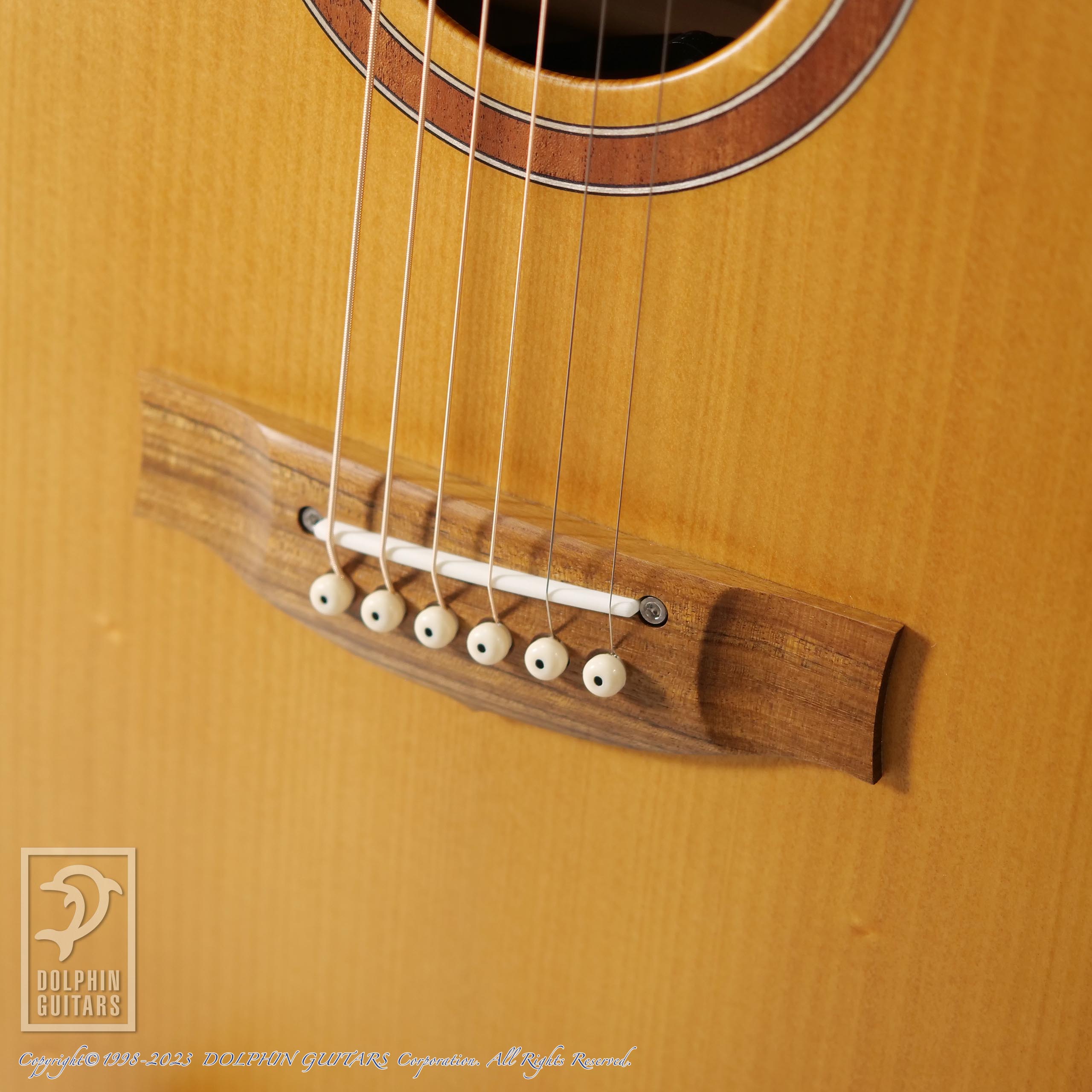 MATON Performer 2023 Limited Model (Orange Mouse) - ドルフィンギターズ