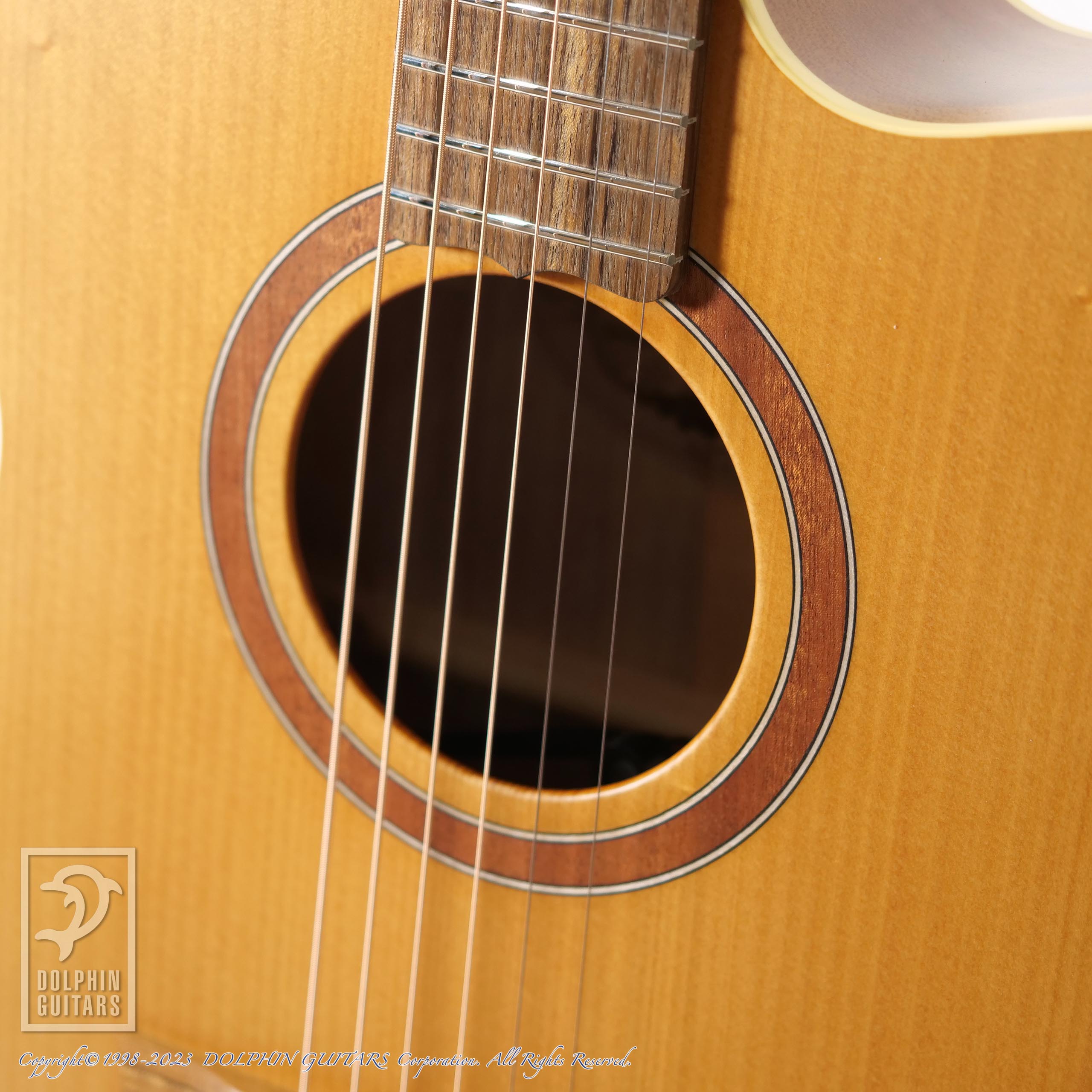 MATON Performer 2023 Limited Model (Orange Mouse) - ドルフィンギターズ