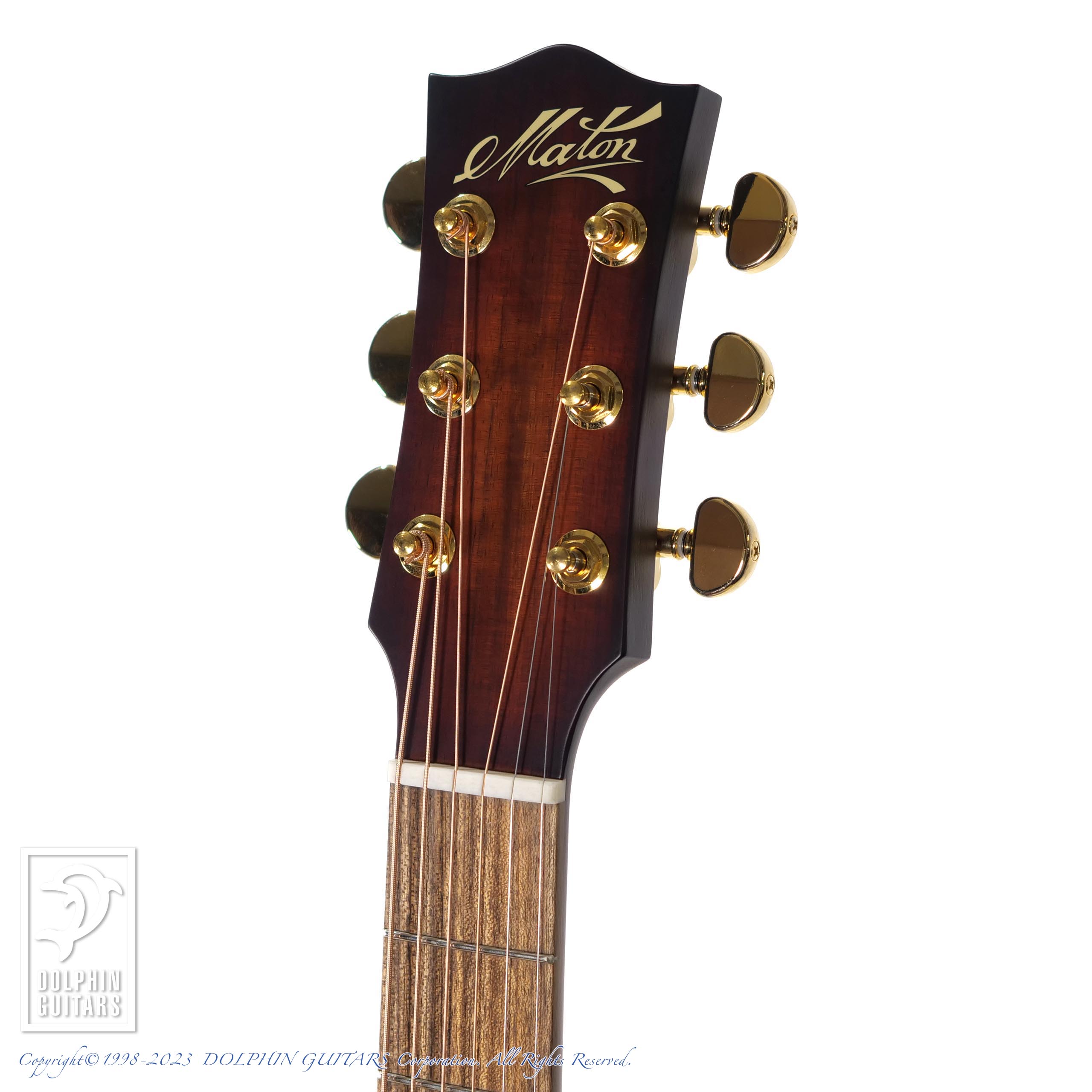 MATON Performer 2023 Limited Model (Teardrop Tobacco Burst) - ドルフィンギターズ