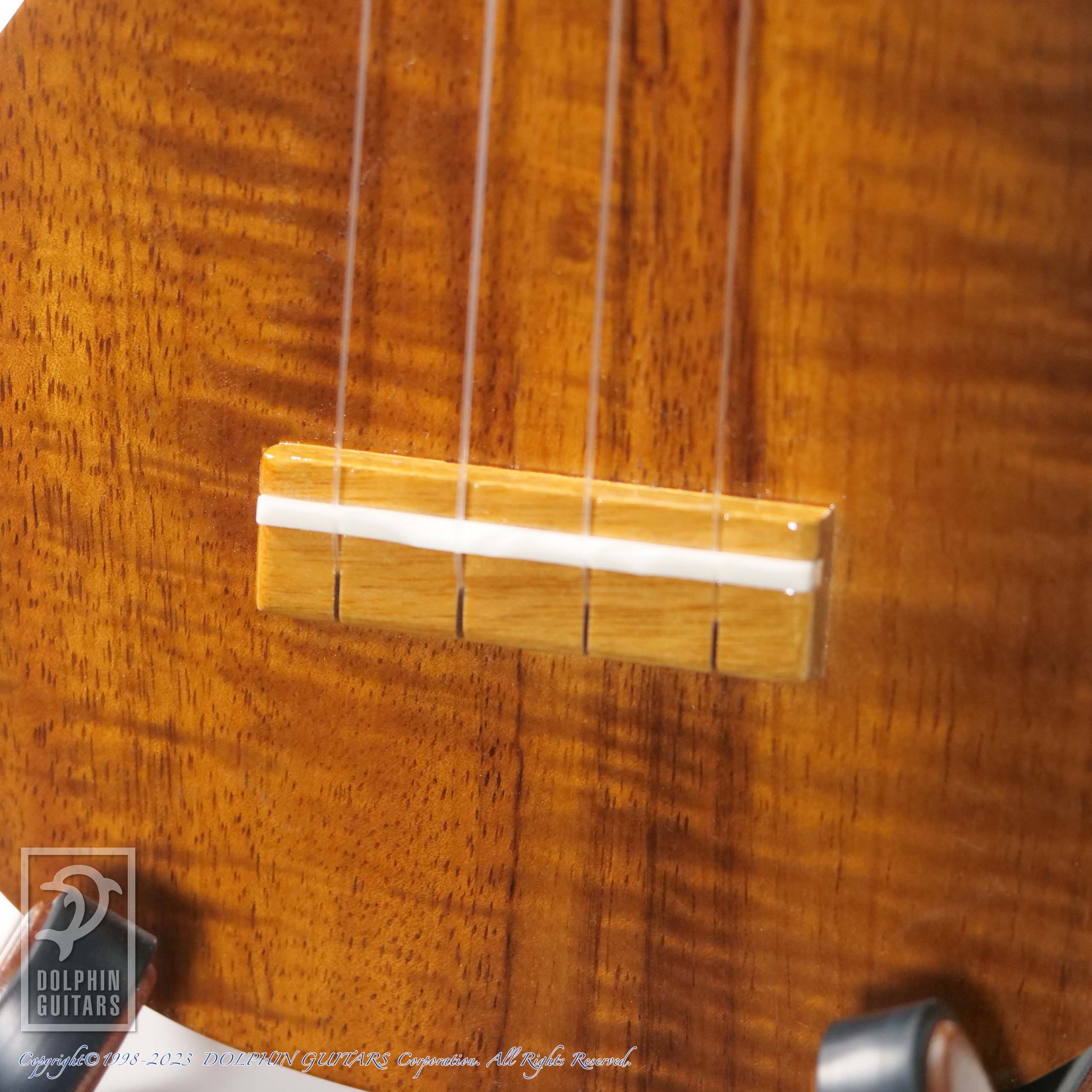 FAMOUS FLS-2G - ドルフィンギターズ