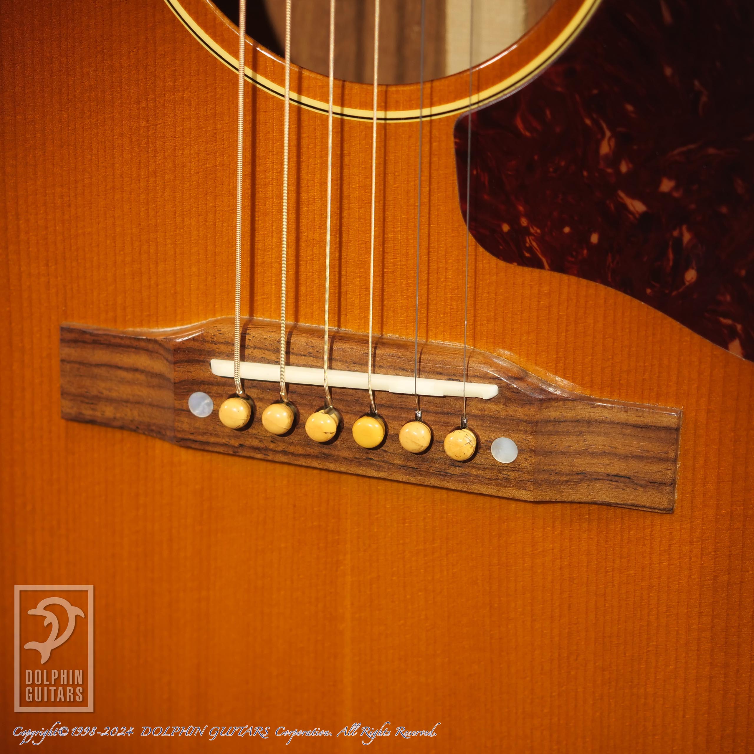 Gibson CF-100E Collector's - ドルフィンギターズ