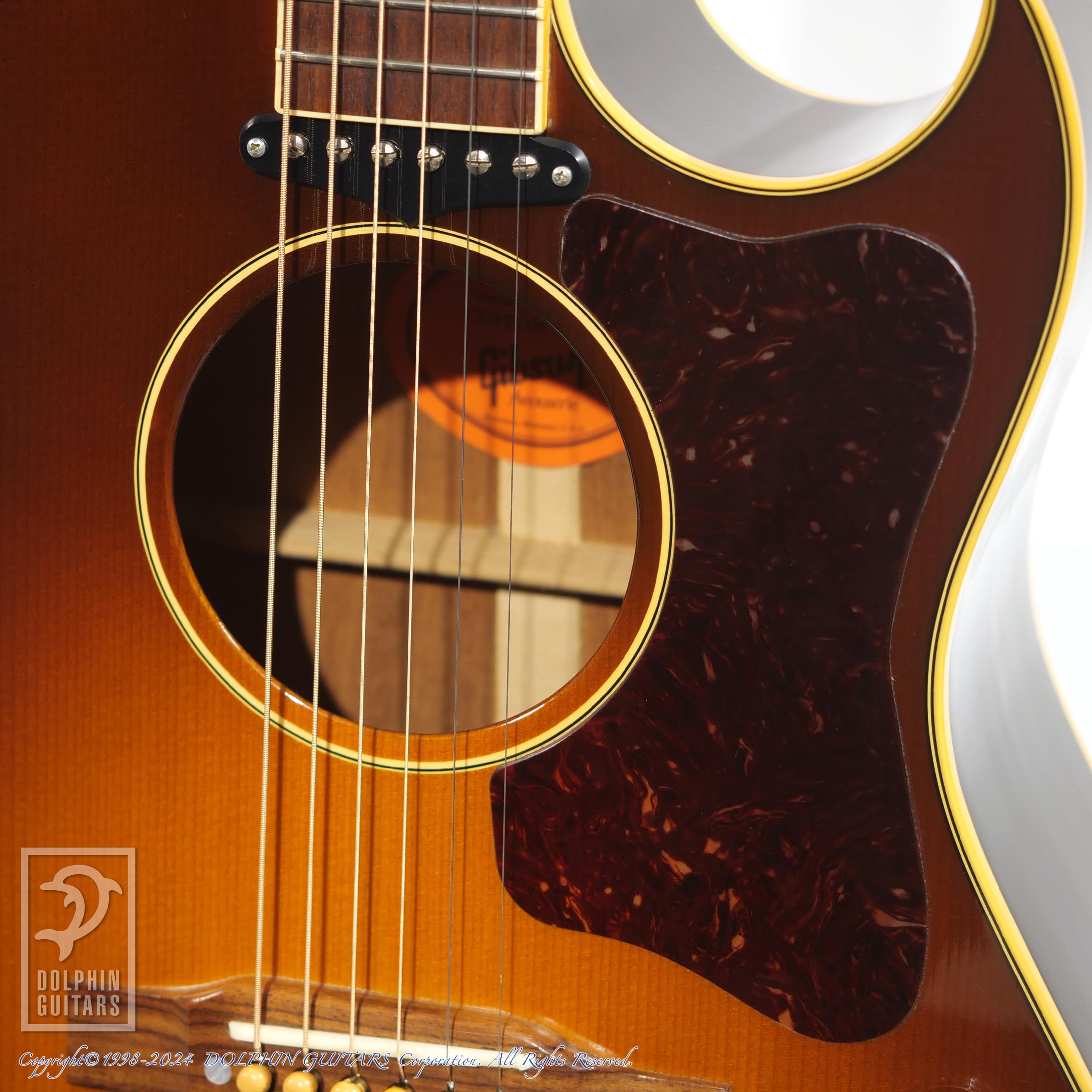 Gibson CF-100E Collector's - ドルフィンギターズ
