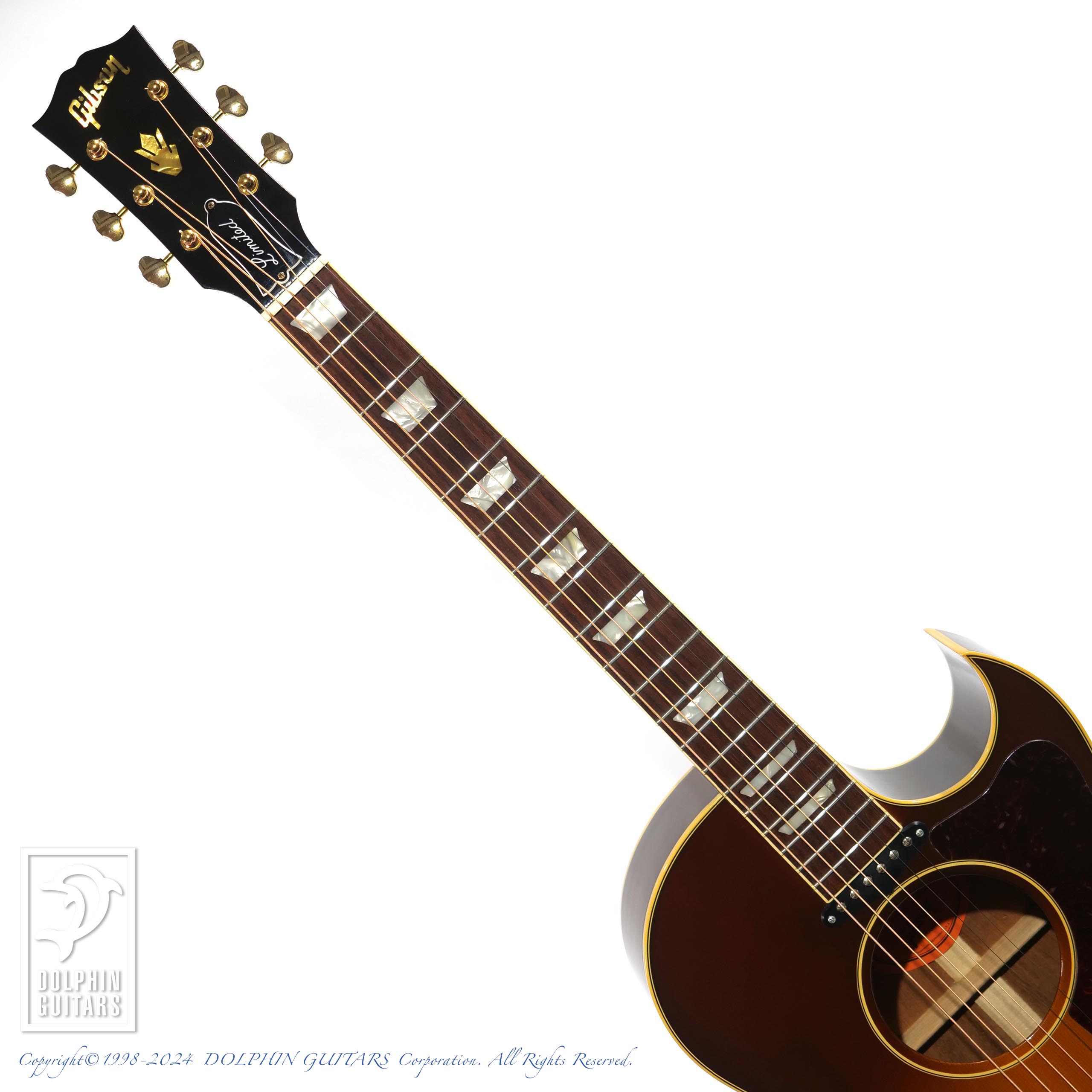 Gibson CF-100E Collector's - ドルフィンギターズ