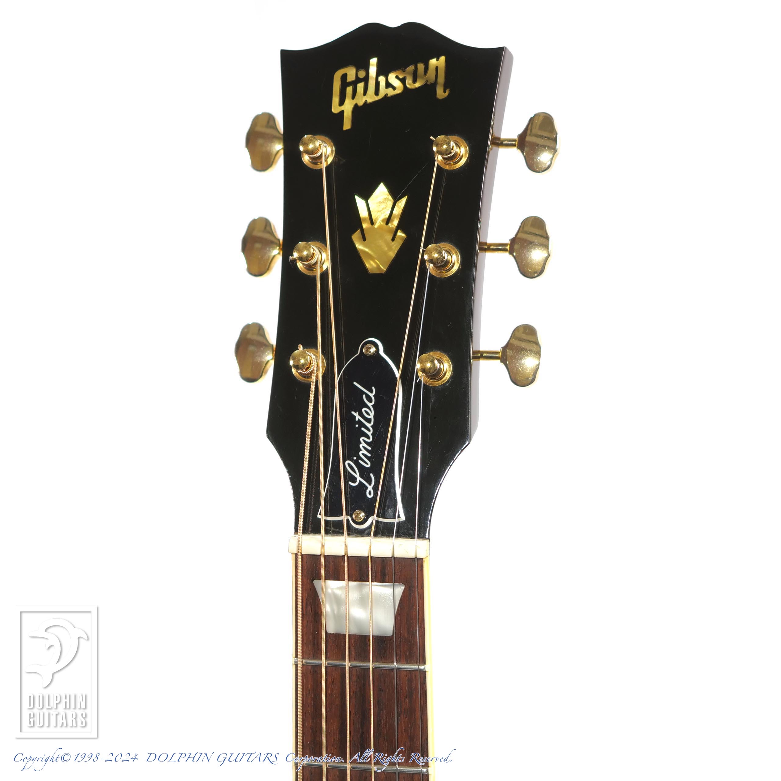 Gibson CF-100E Collector's - ドルフィンギターズ