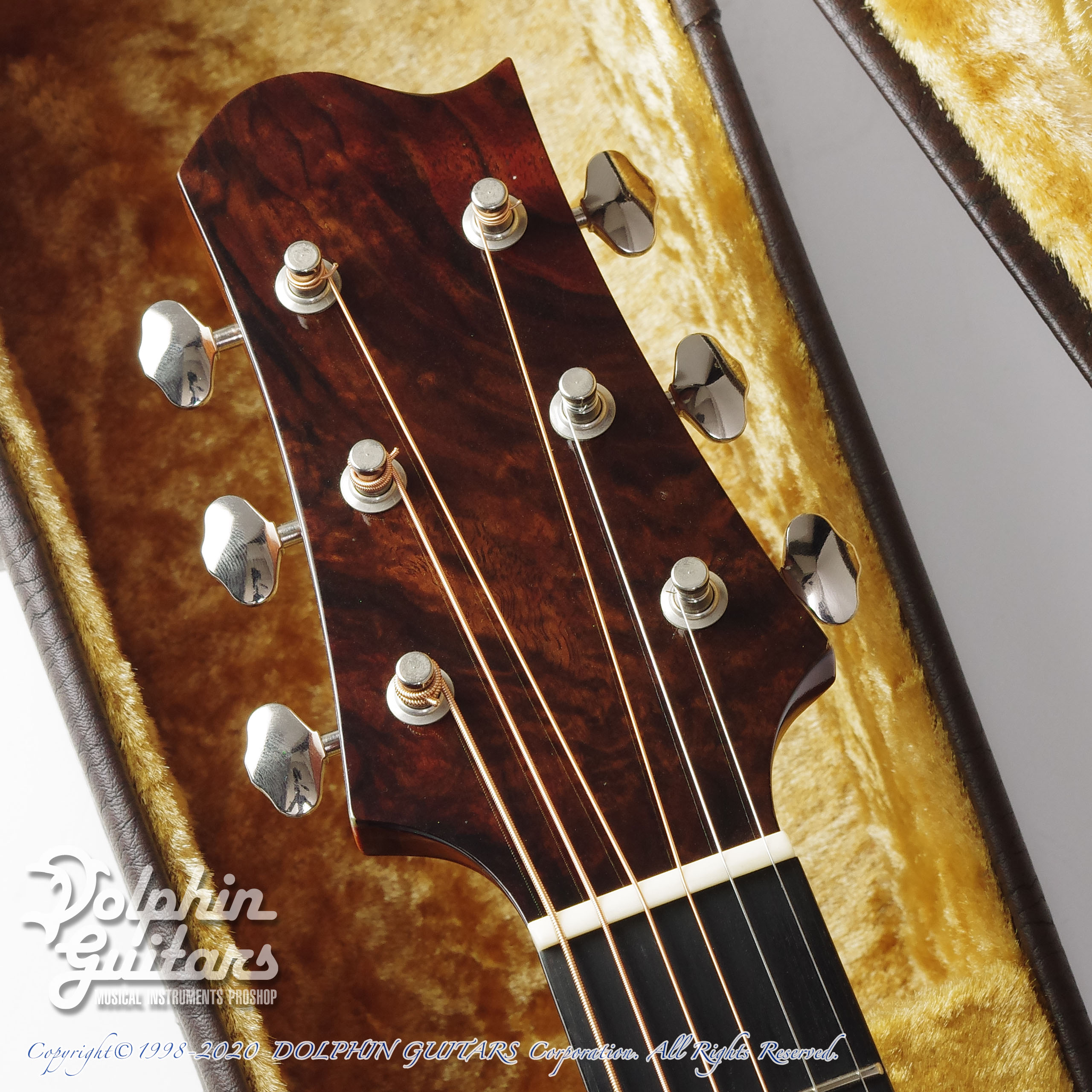 FLY ROBIN Grace - ドルフィンギターズ