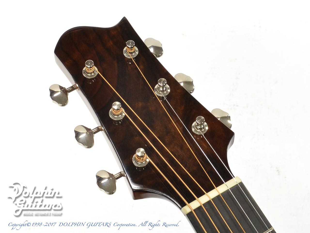 FLY ROBIN Grace - ドルフィンギターズ