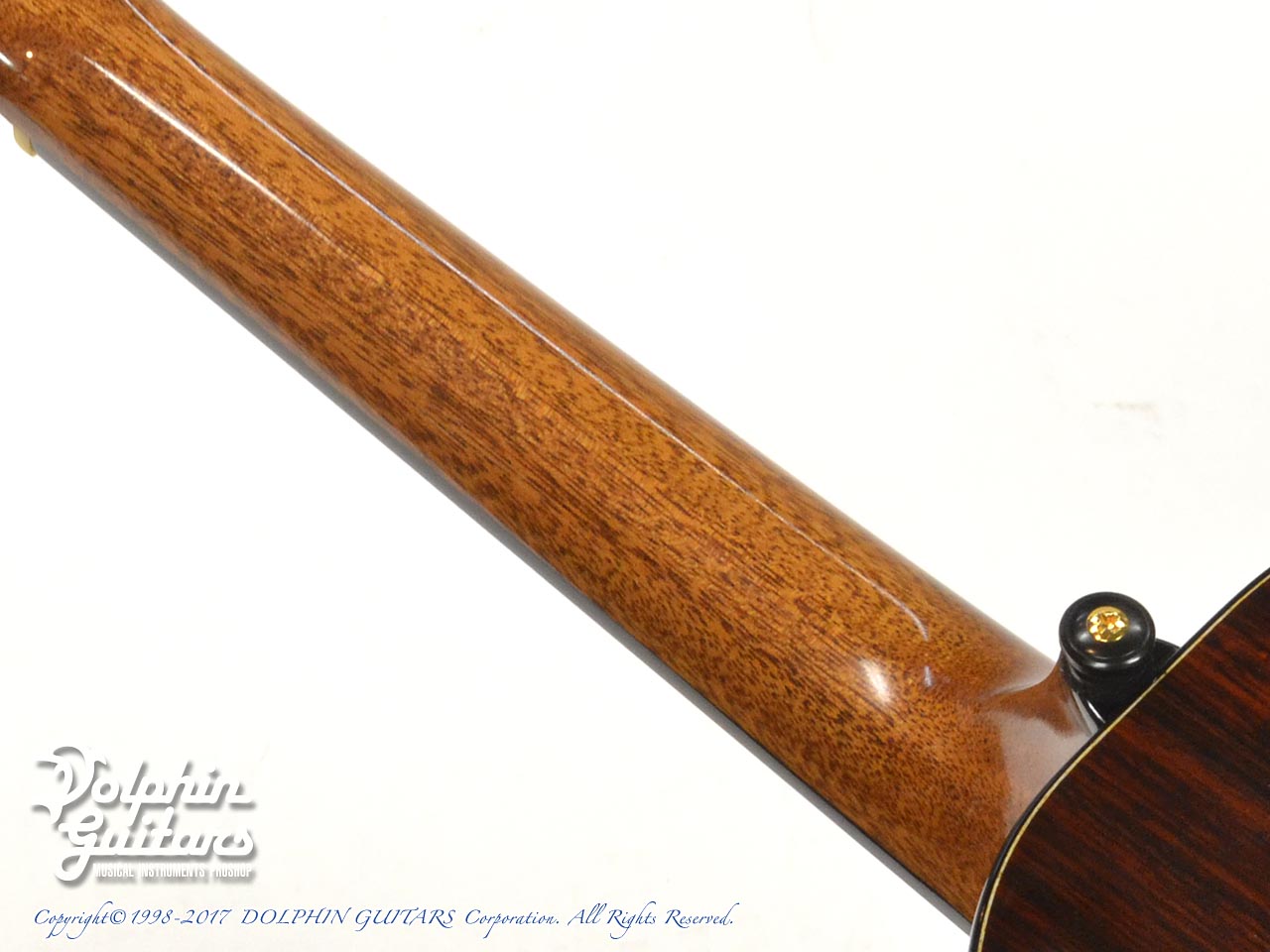 NOB ACOUSTIC GUITAR Concert Custom - ドルフィンギターズ