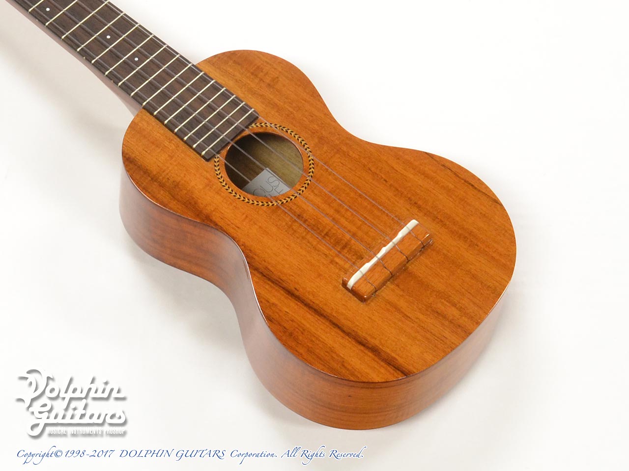 FAMOUS FLS-2G - ドルフィンギターズ