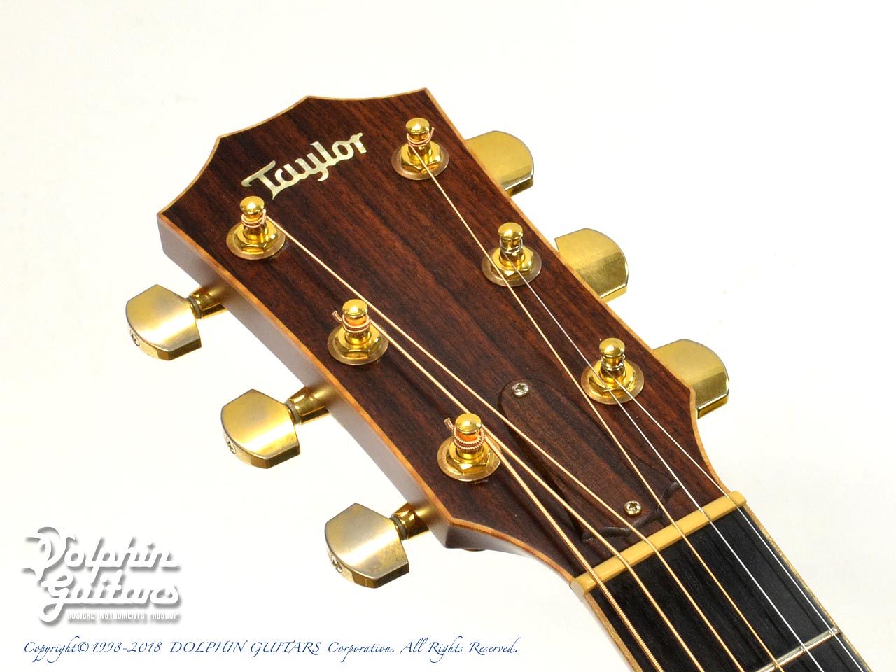 TAYLOR 814ce - ドルフィンギターズ