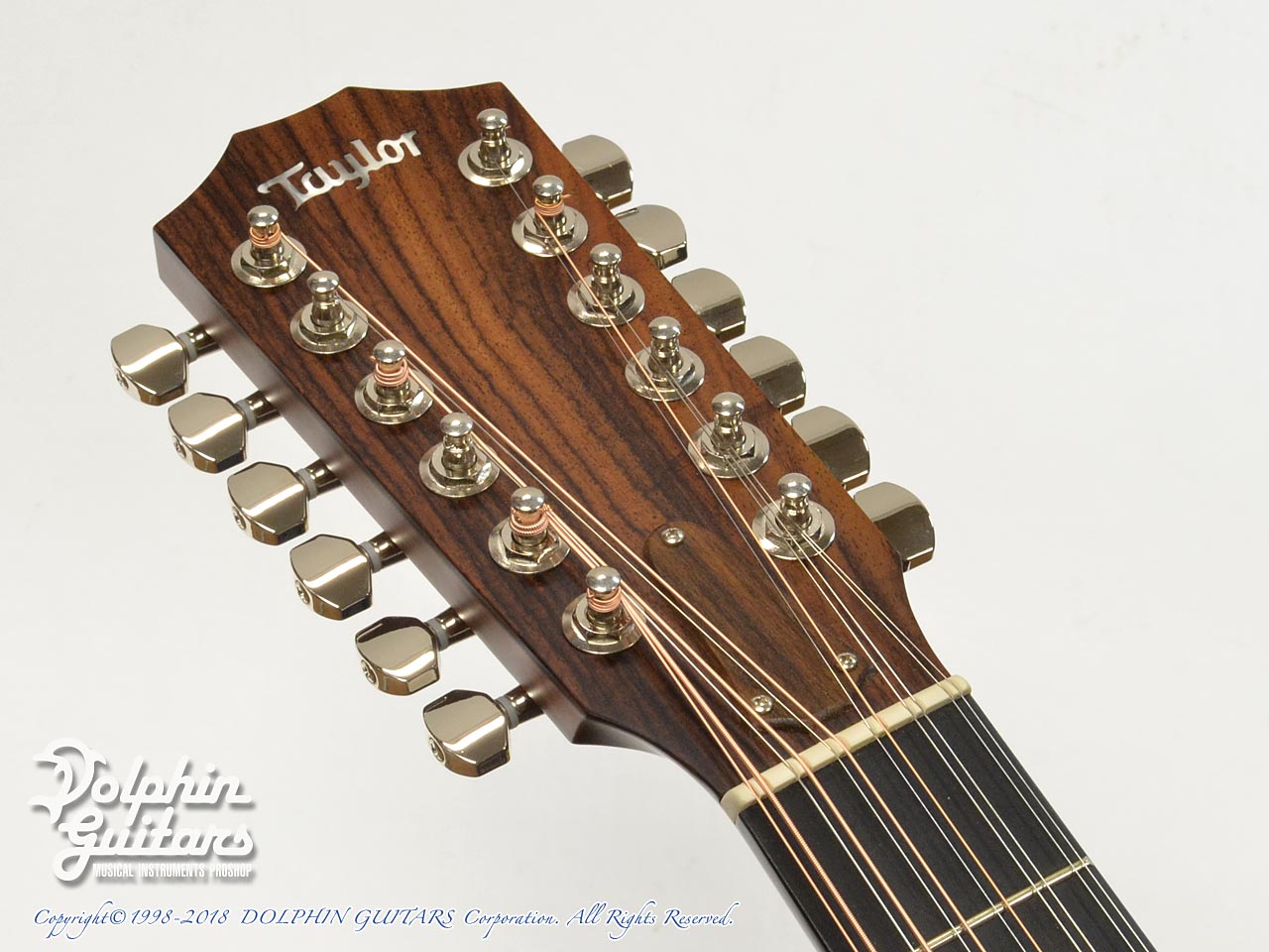 TAYLOR 360E Blackwood ES2 - ドルフィンギターズ