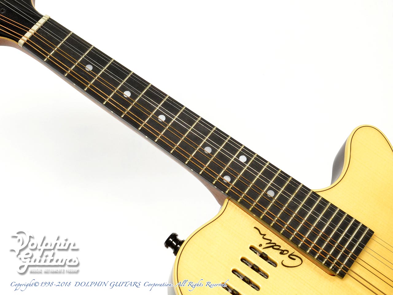 GODIN A-8 Mandolin - ドルフィンギターズ