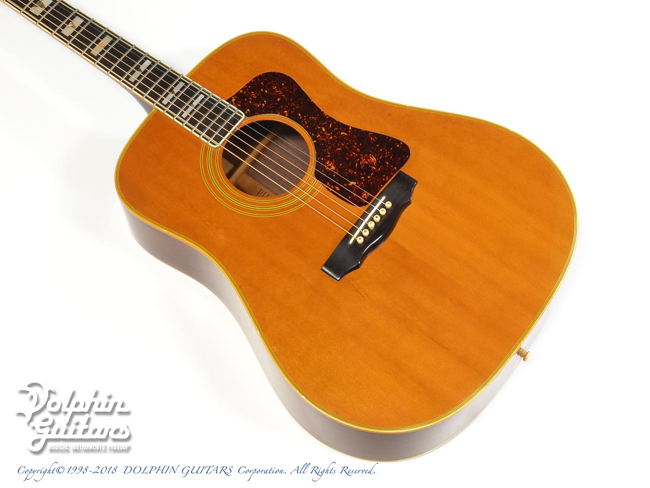 GUILD D-55 - ドルフィンギターズ