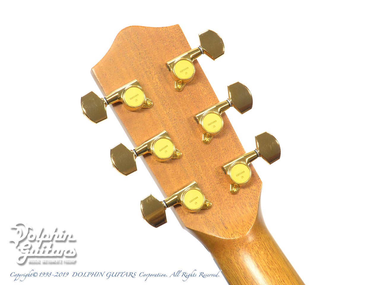 GREVEN The Oshio D Cutaway Dolphin Custom (Brazilian Rosewood) - ドルフィンギターズ