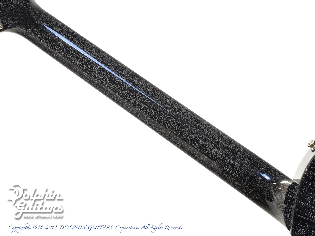 COLLINGS 290 (Doghair) - ドルフィンギターズ