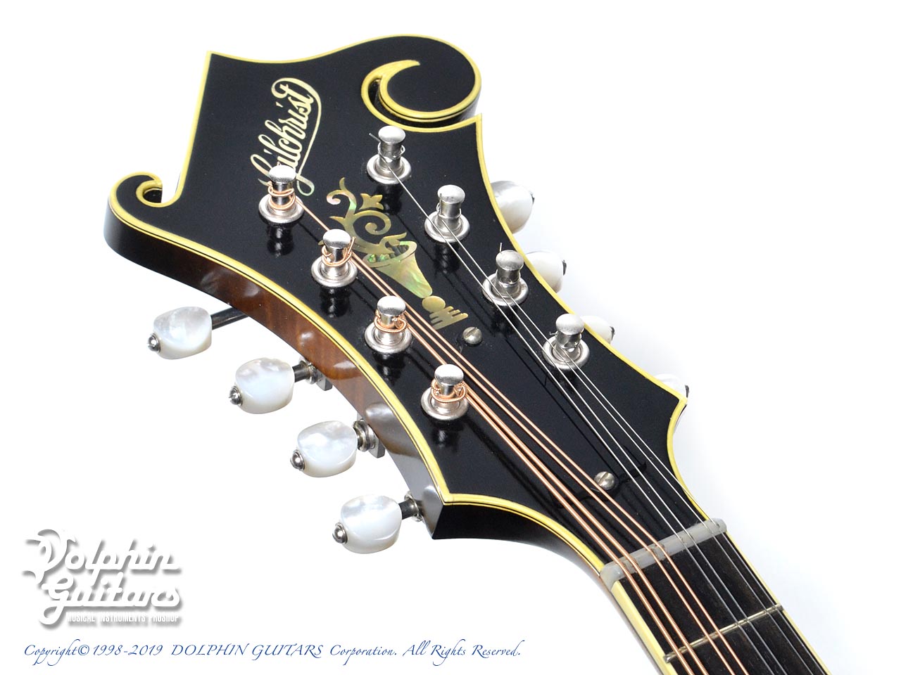 GILCHRIST Model 5 - ドルフィンギターズ