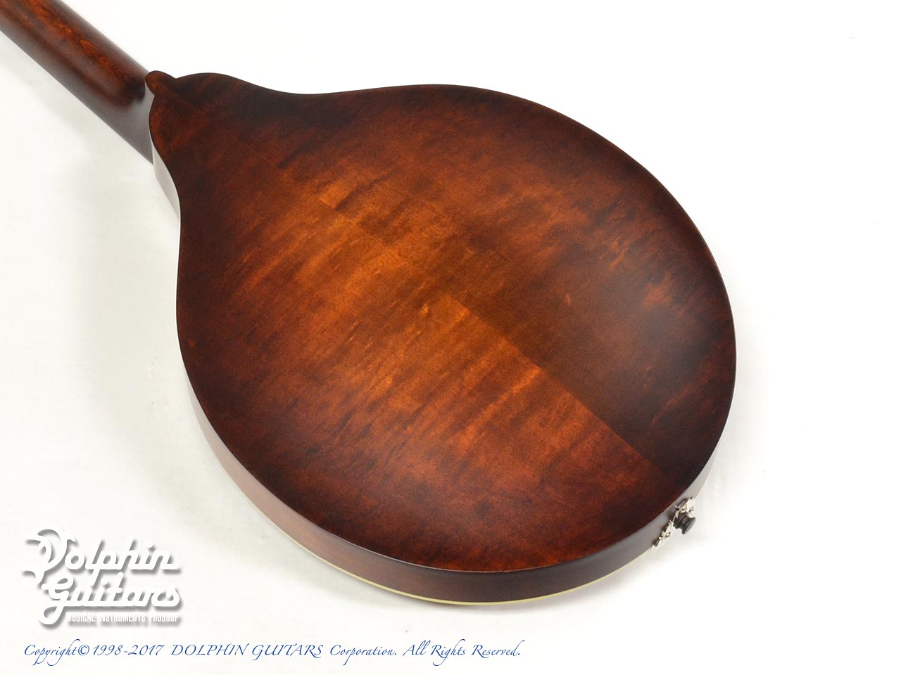 Eastman MDO-305 (Octave Mandolin) - ドルフィンギターズ