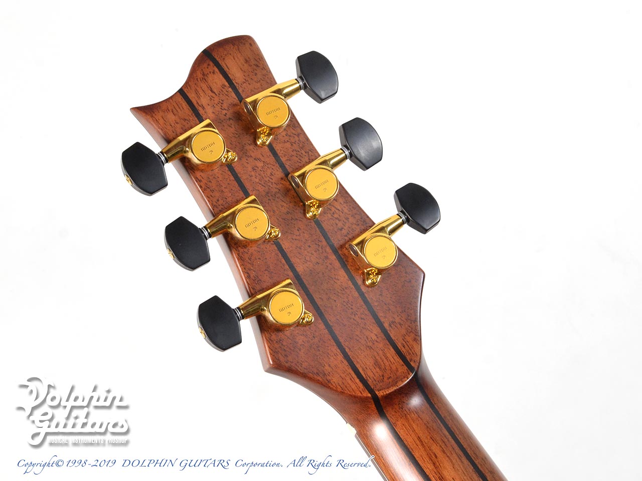 GOMANS G-S31AC Limited Edition - ドルフィンギターズ