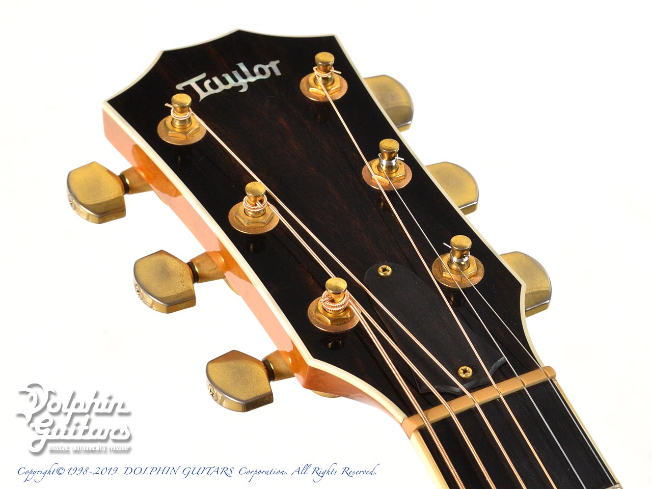 TAYLOR 610-CE - ドルフィンギターズ