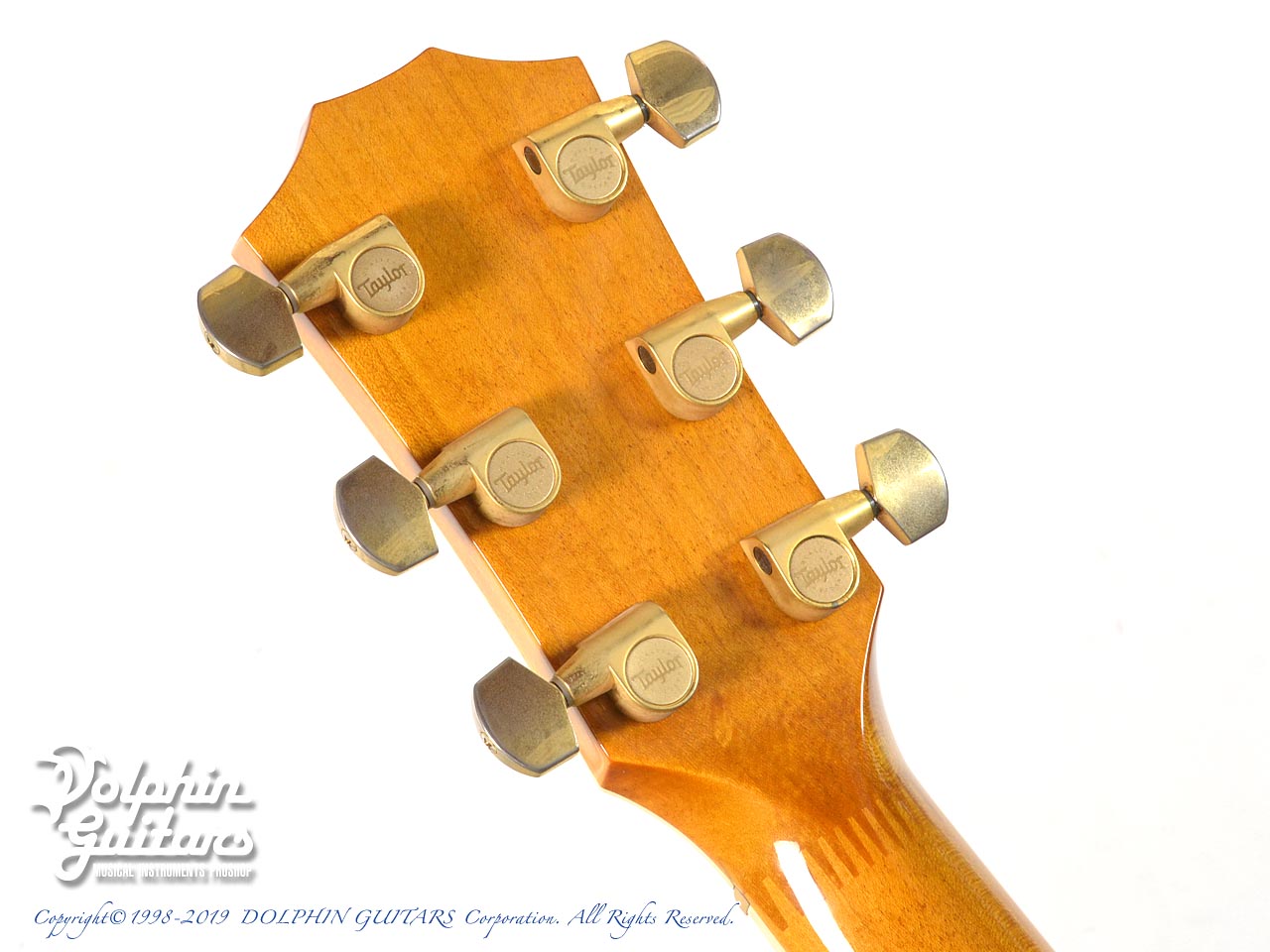 TAYLOR 610-CE - ドルフィンギターズ