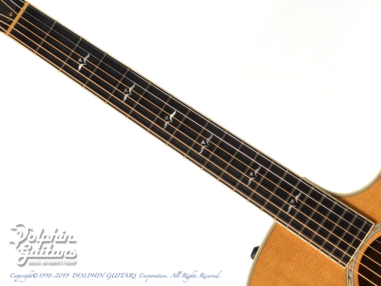 TAYLOR 610-CE - ドルフィンギターズ