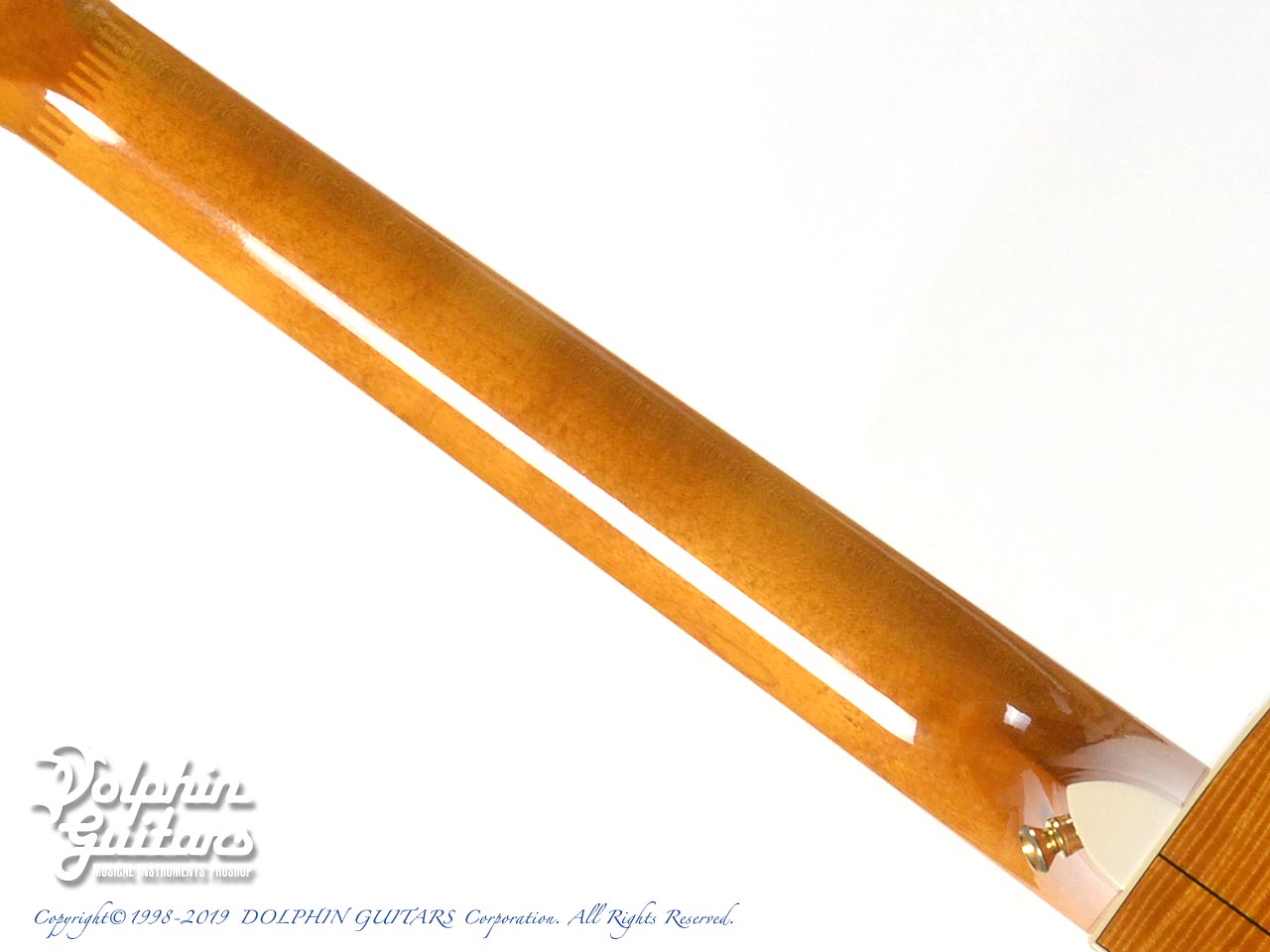 TAYLOR 610-CE - ドルフィンギターズ