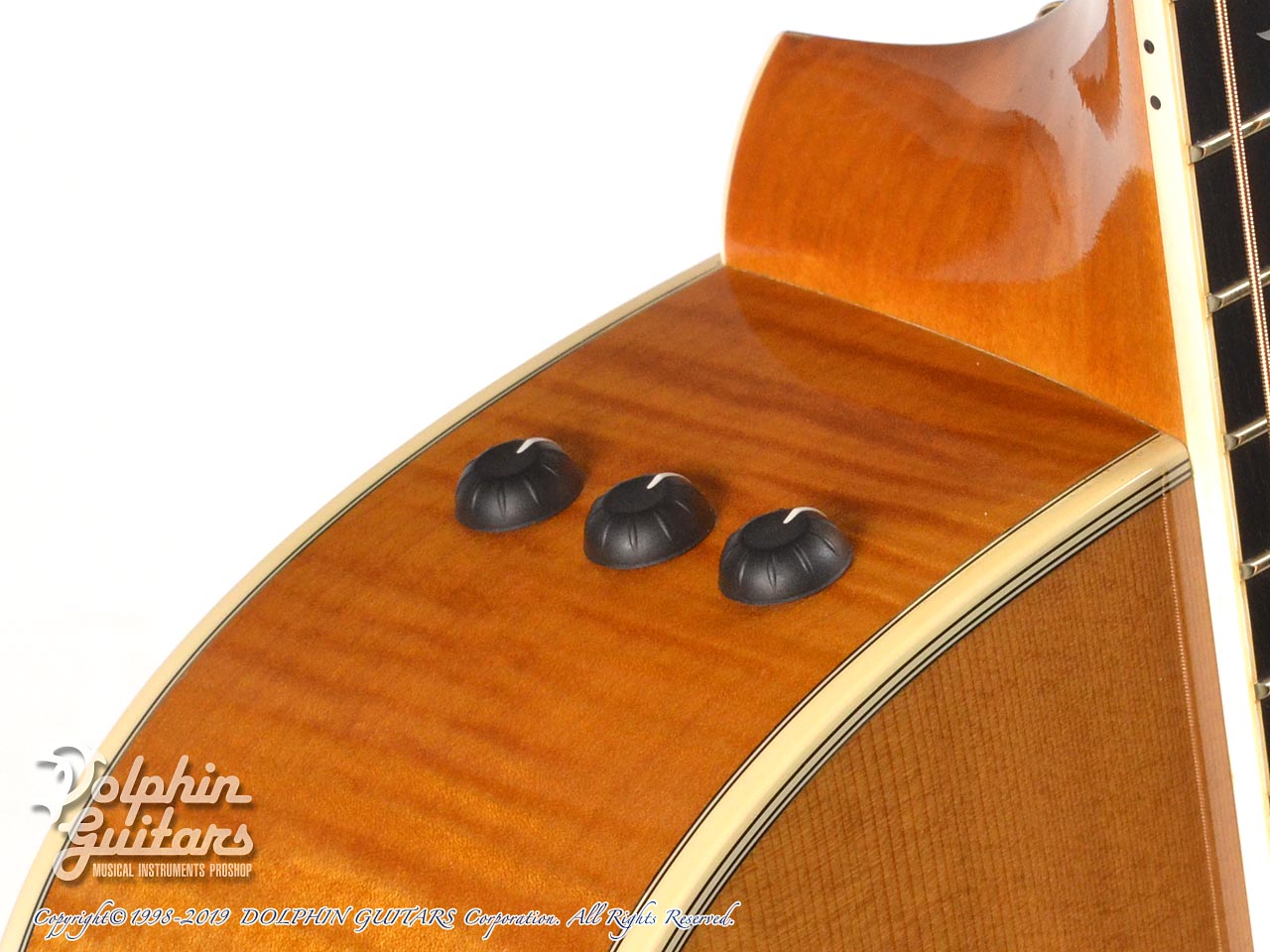 TAYLOR 610-CE - ドルフィンギターズ