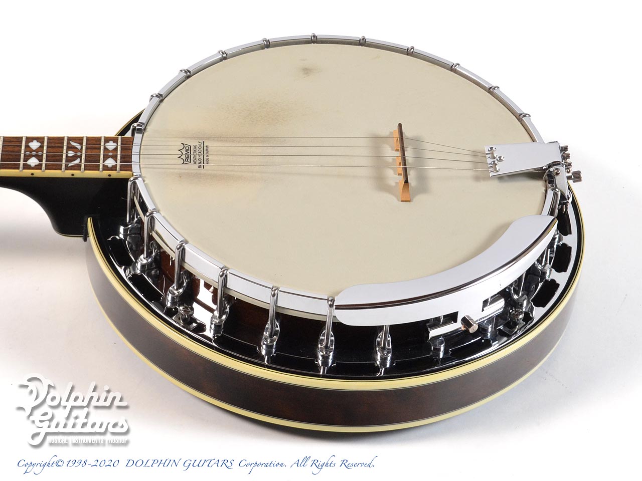 STAFFORD Tenor Banjo - ドルフィンギターズ