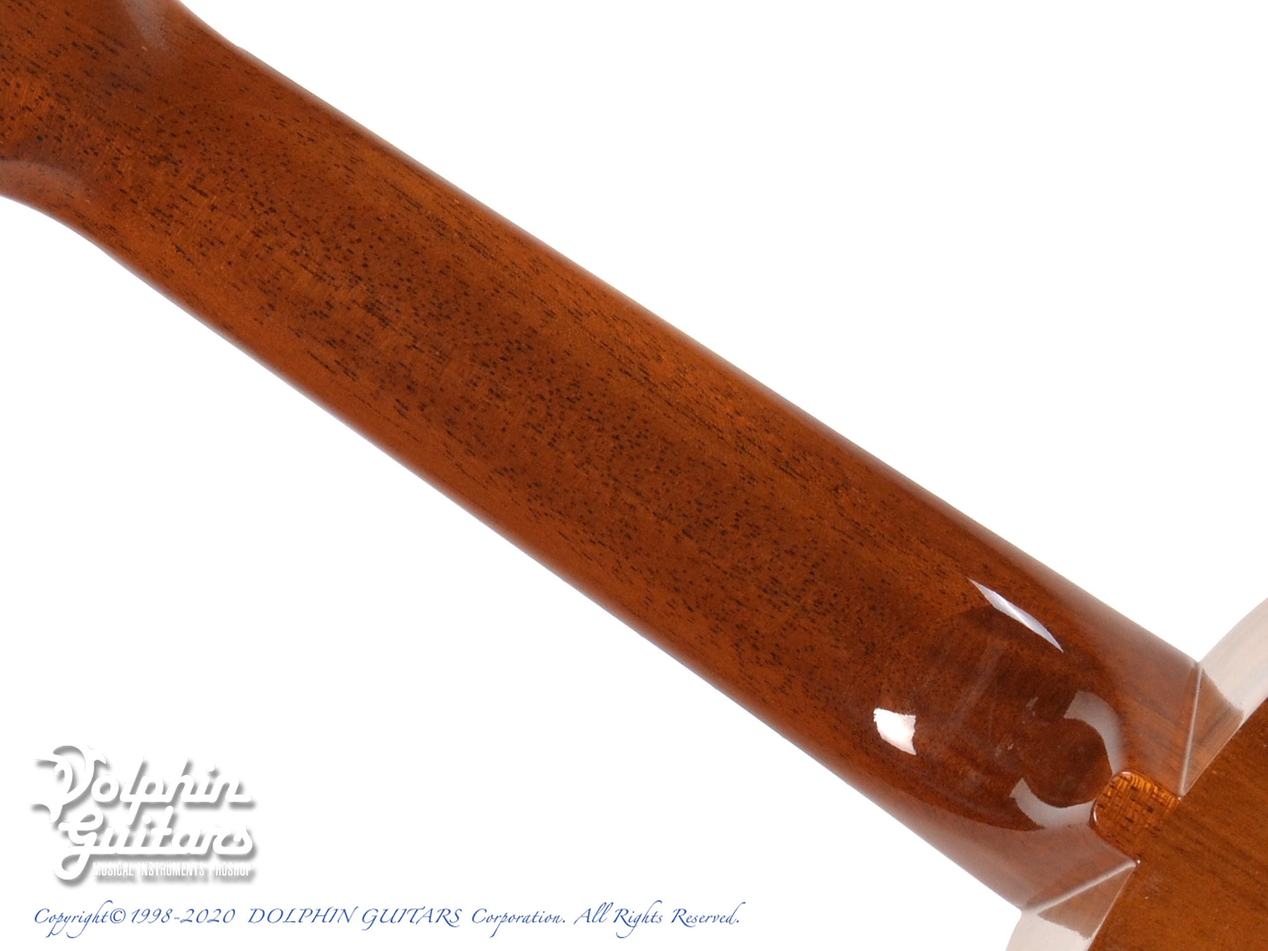 FAMOUS FS-5G - ドルフィンギターズ