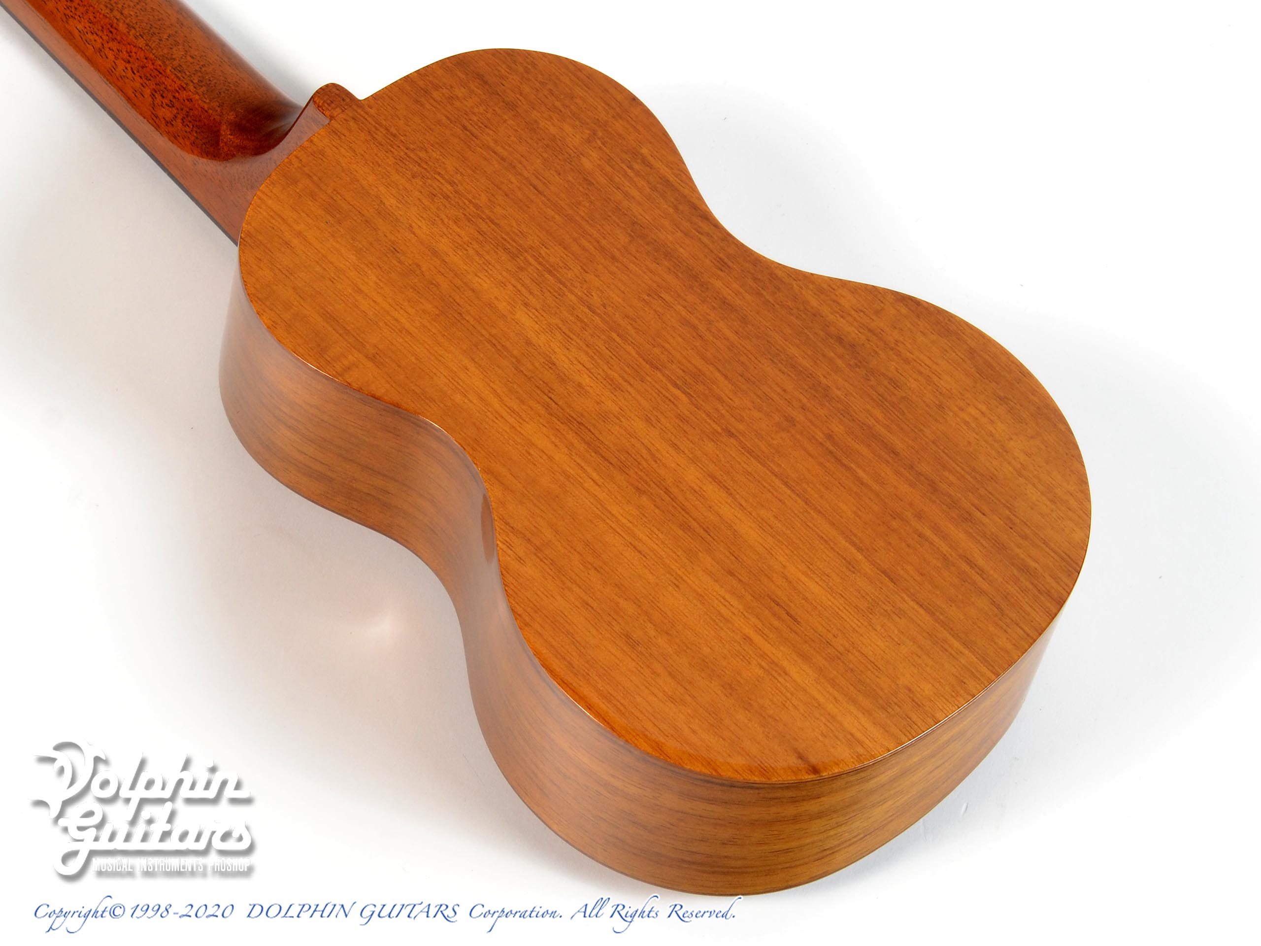 FAMOUS FS-5G - ドルフィンギターズ