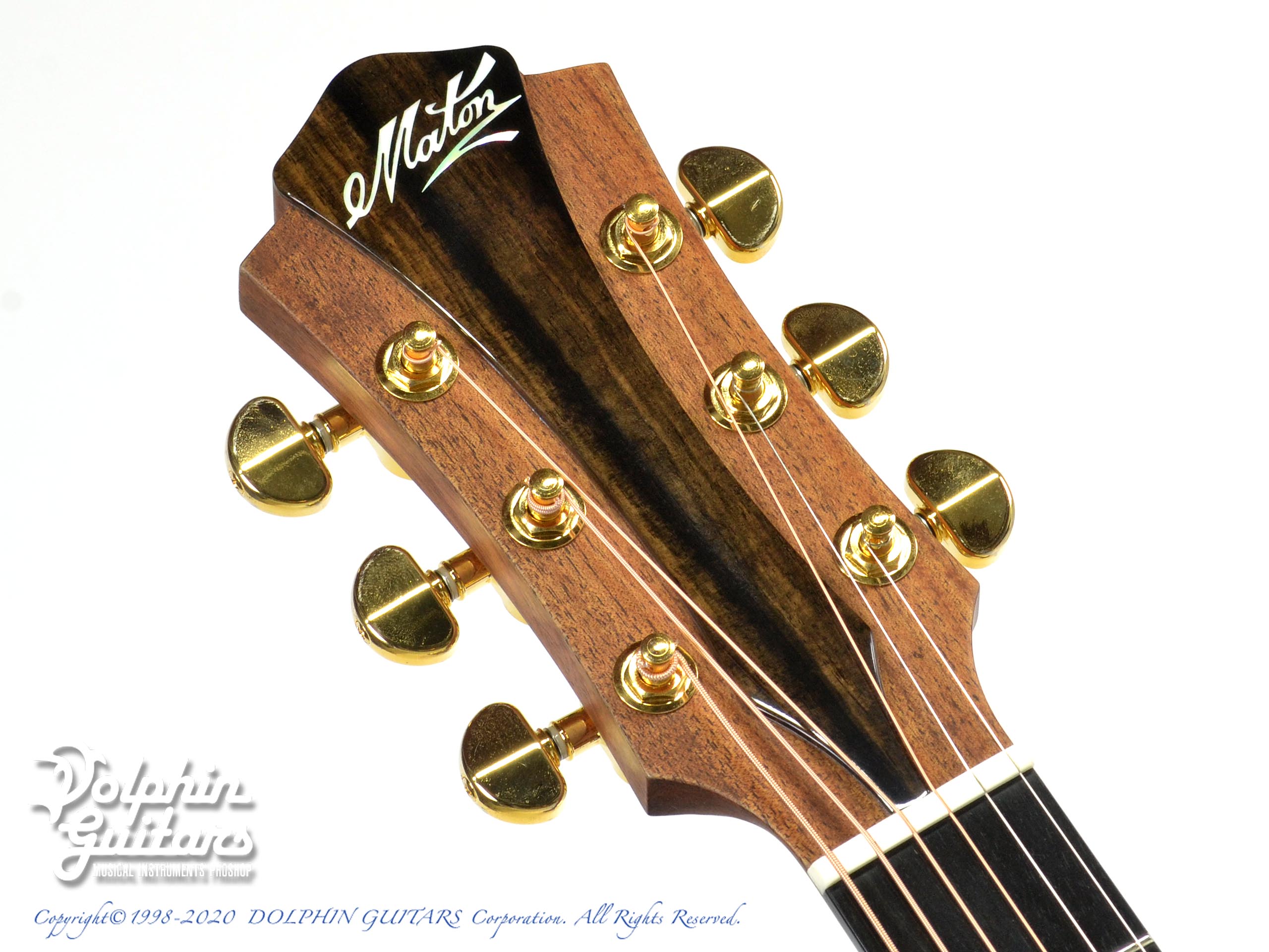 MATON The Vera May - ドルフィンギターズ