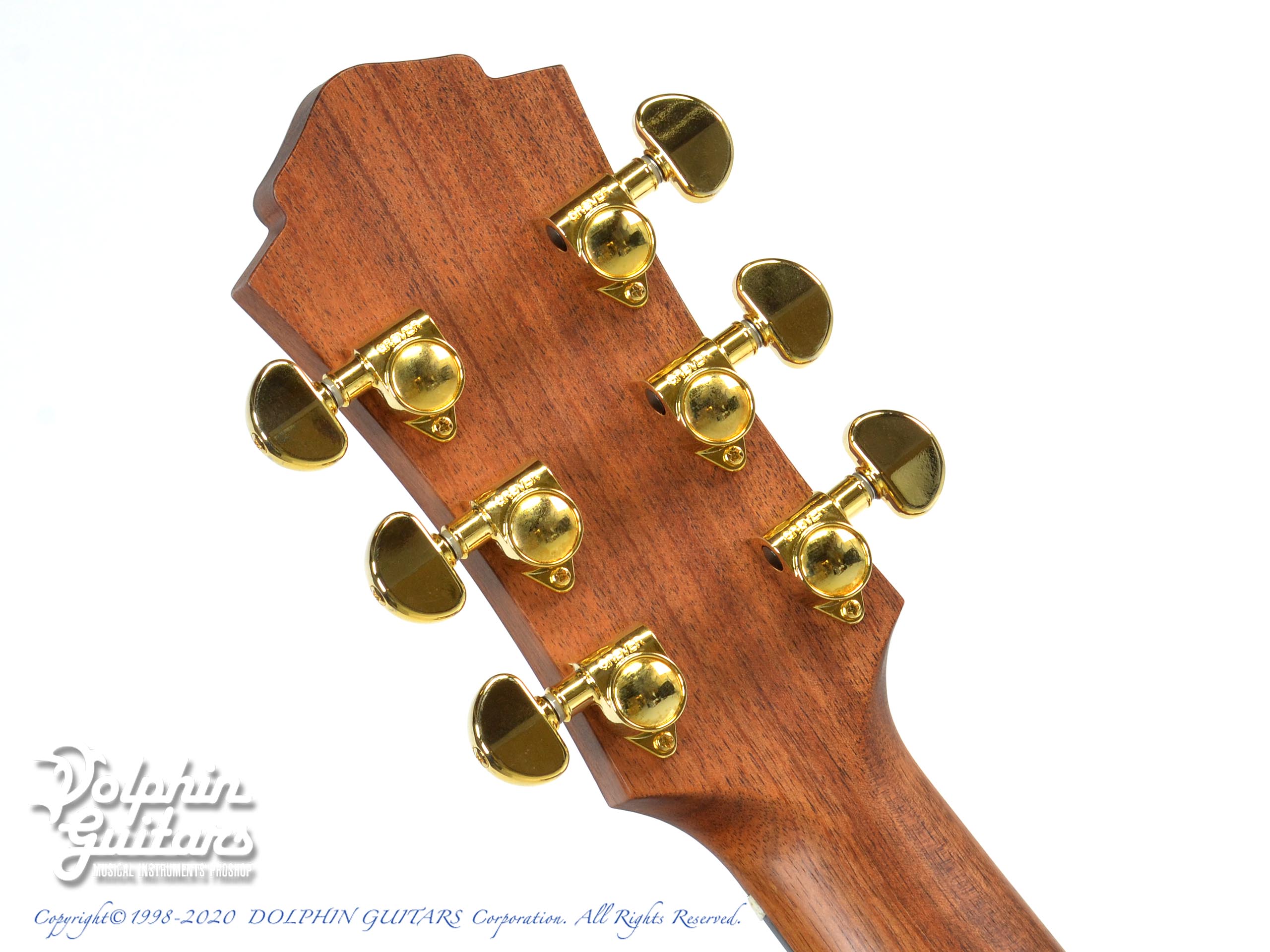 MATON The Vera May - ドルフィンギターズ