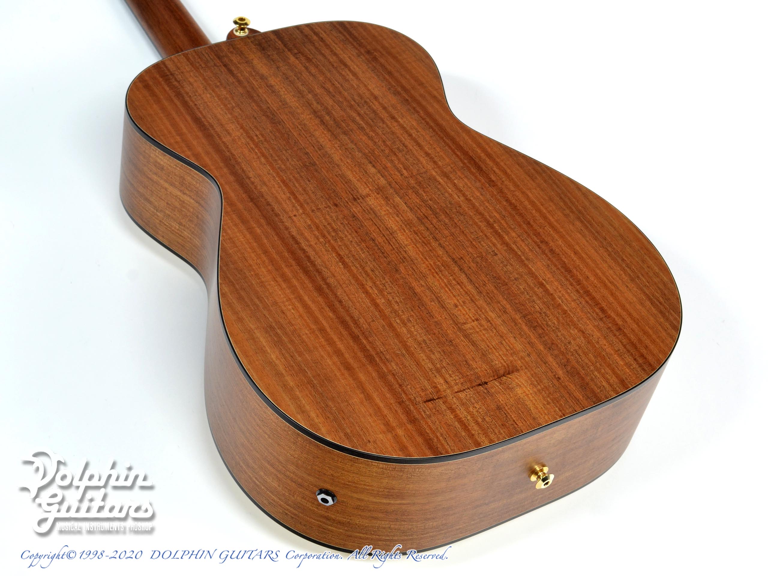 MATON The Vera May - ドルフィンギターズ