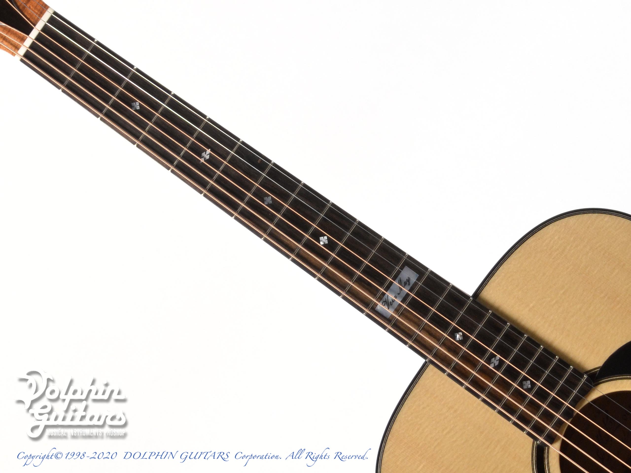 MATON The Vera May - ドルフィンギターズ