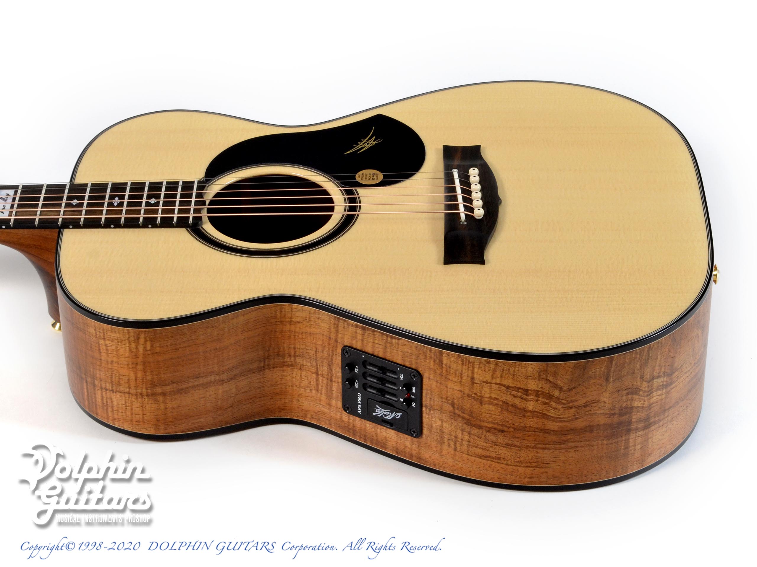 MATON The Vera May - ドルフィンギターズ