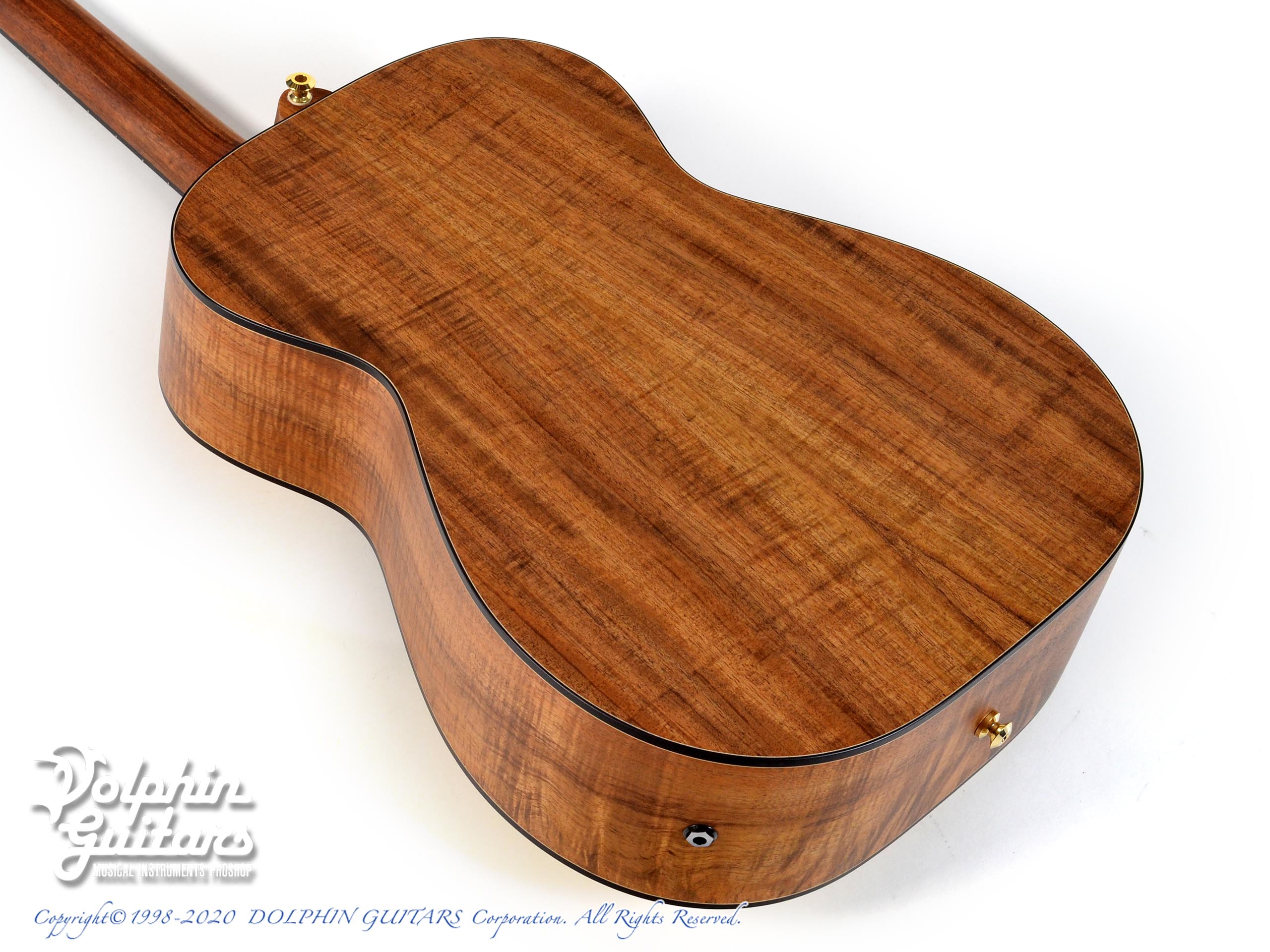 MATON The Vera May - ドルフィンギターズ