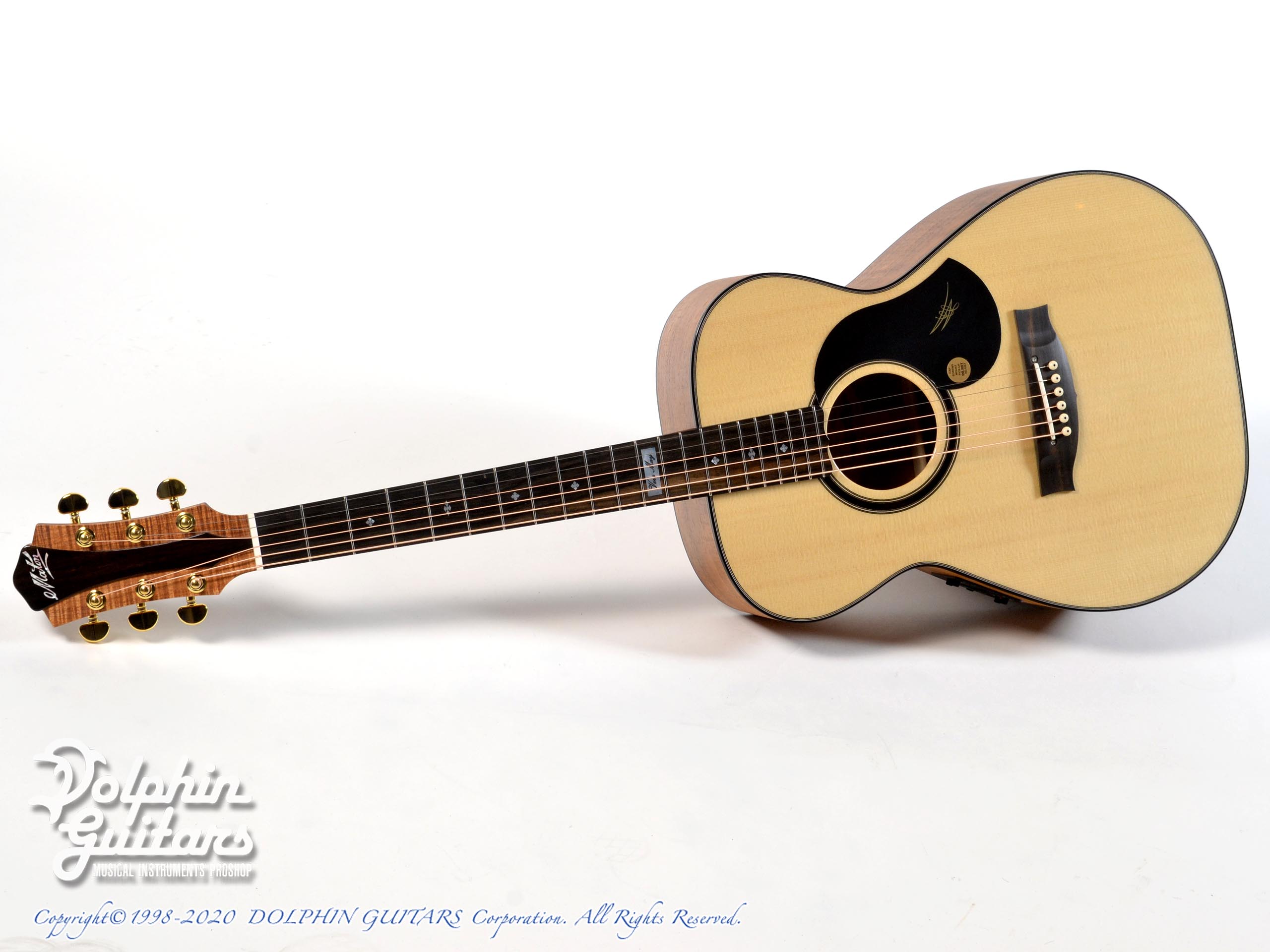 MATON The Vera May - ドルフィンギターズ